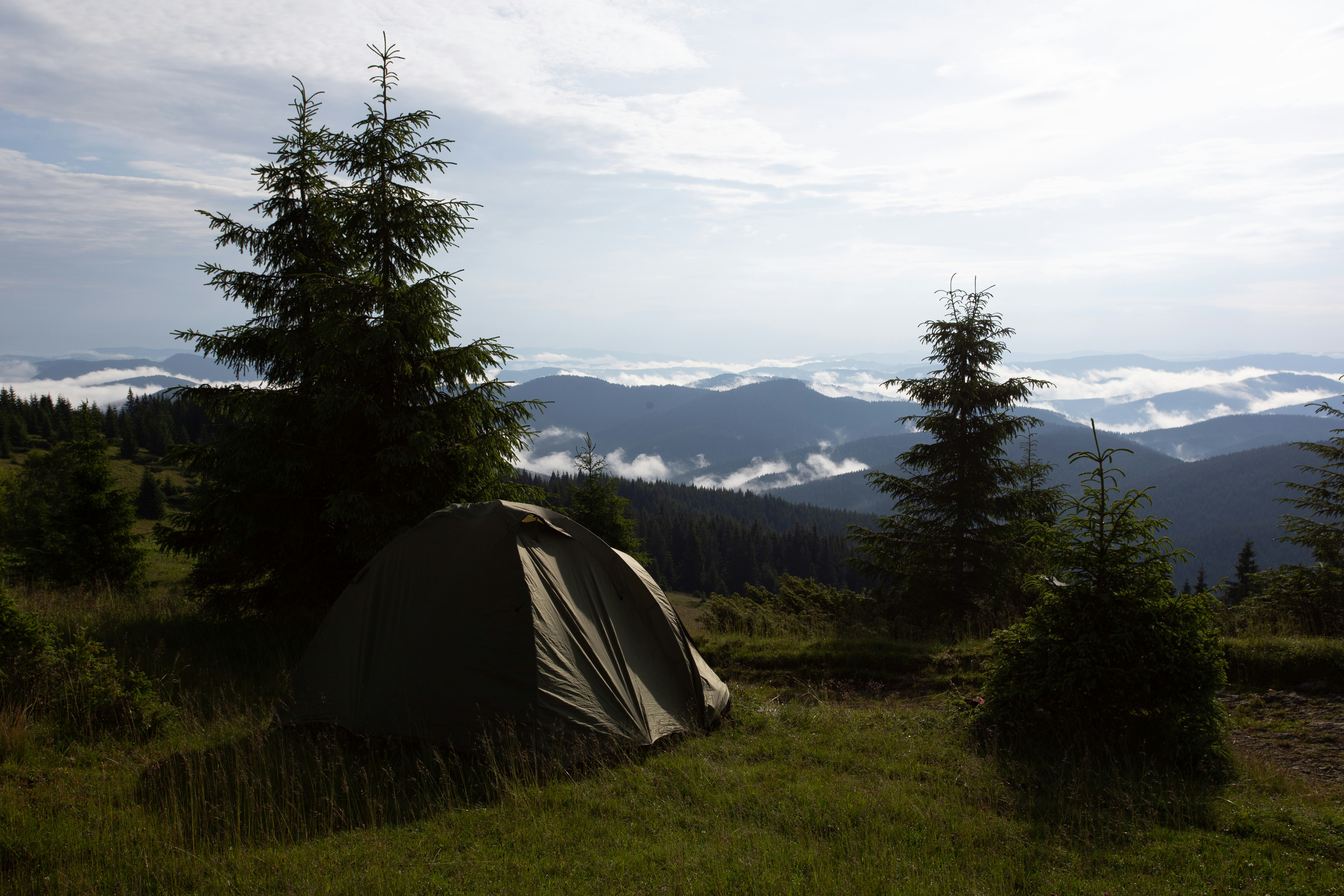 Stormwatch Camp: A solitary tent Beside Coniferous Silhouettes Under Coastal Clouds