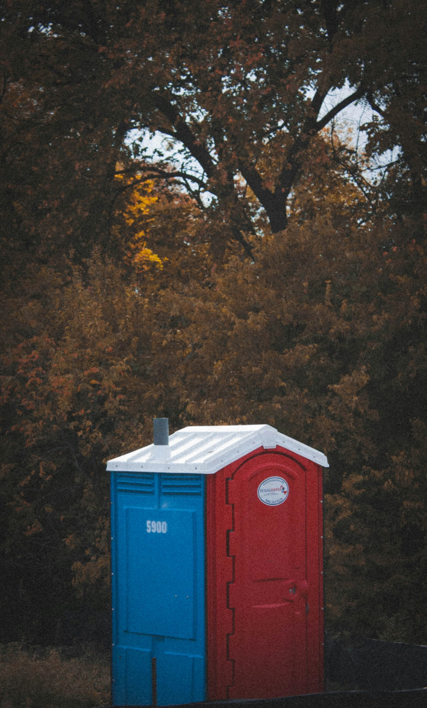 A red and blue outhouse sitting next to a forest photo – Free ...