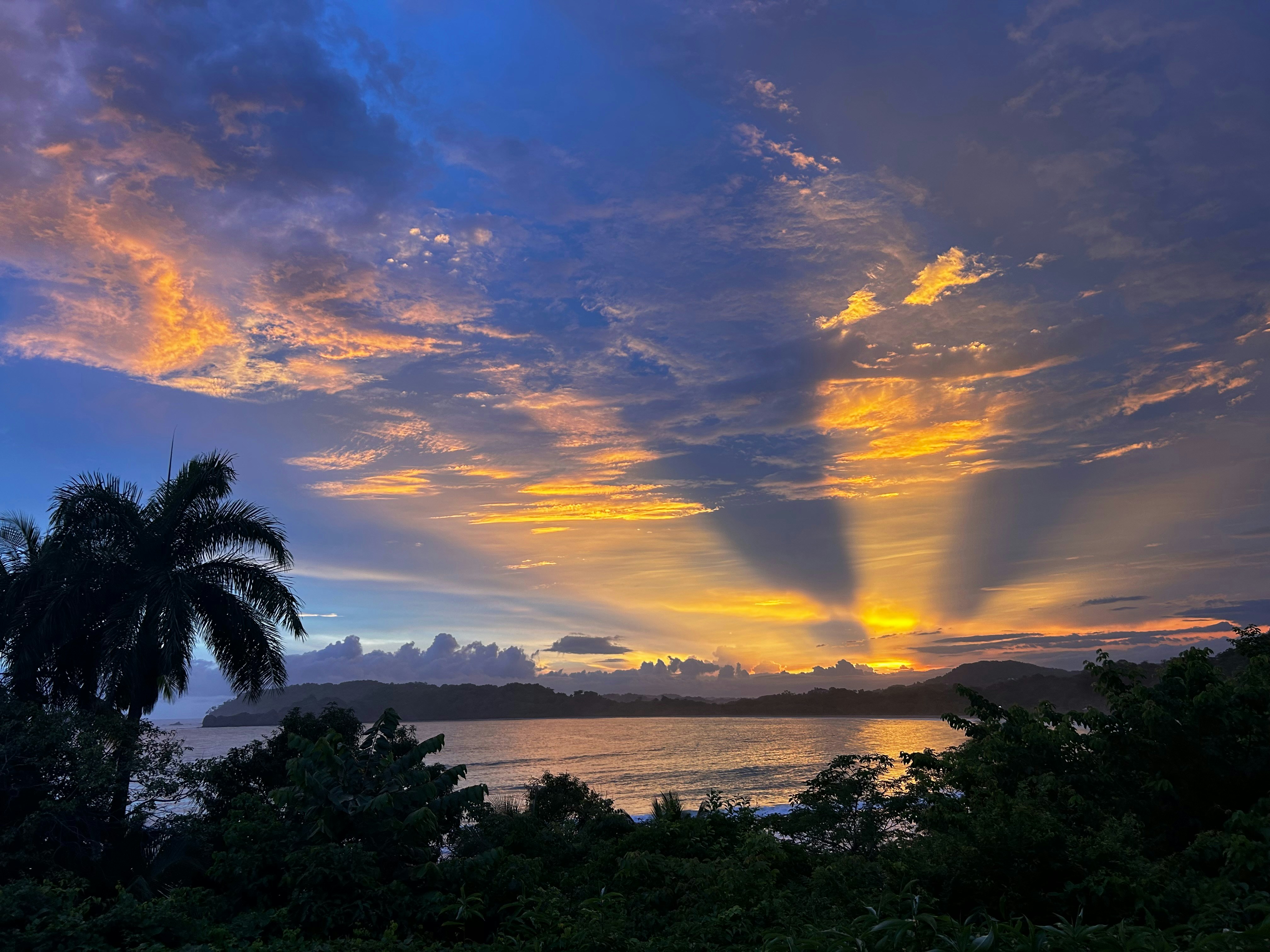 Sunbeams Crown a Tropical Sunset over Silhouetted Palms