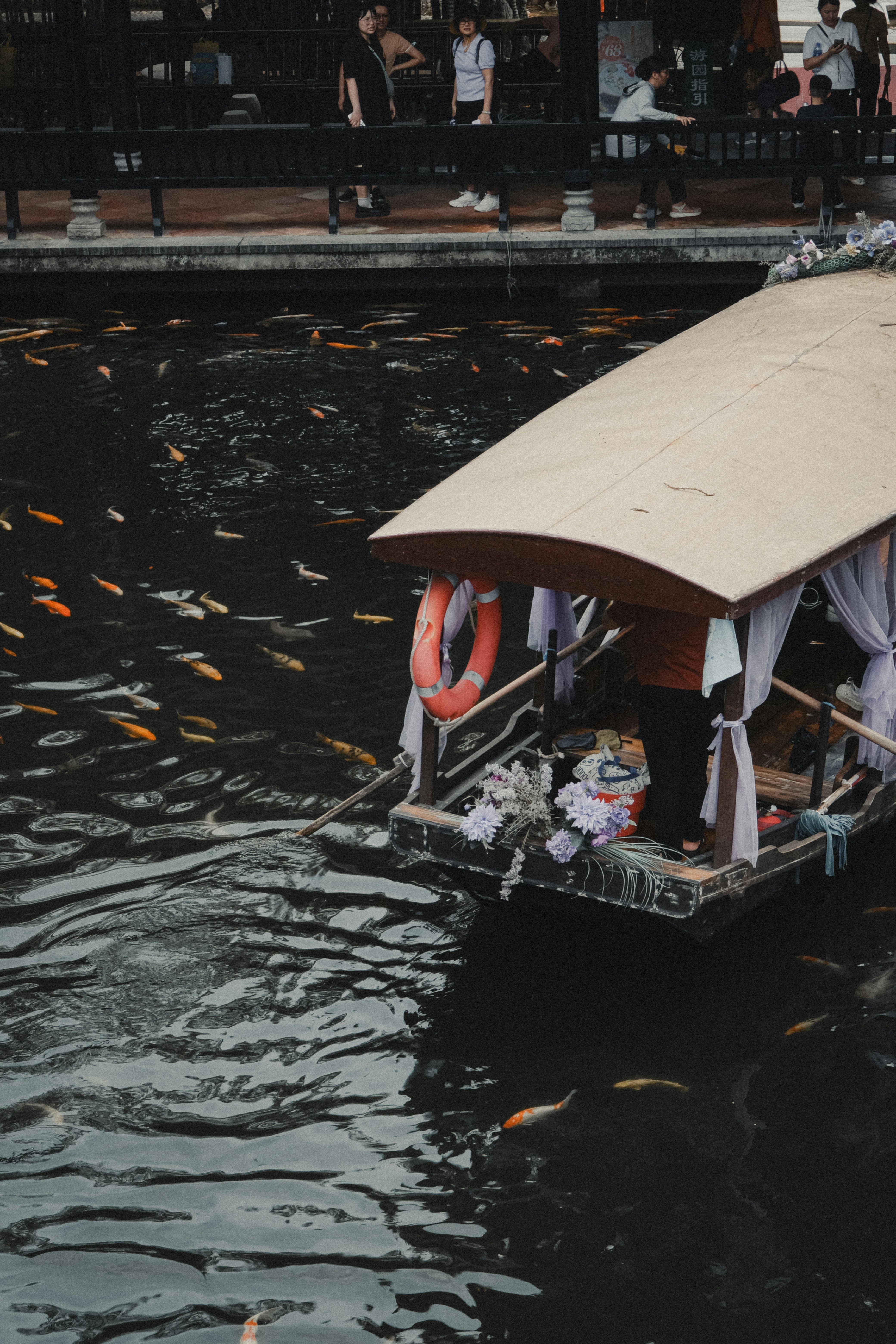 Floral-Decked Boat Glide Amid Koi on a Quiet Riverside