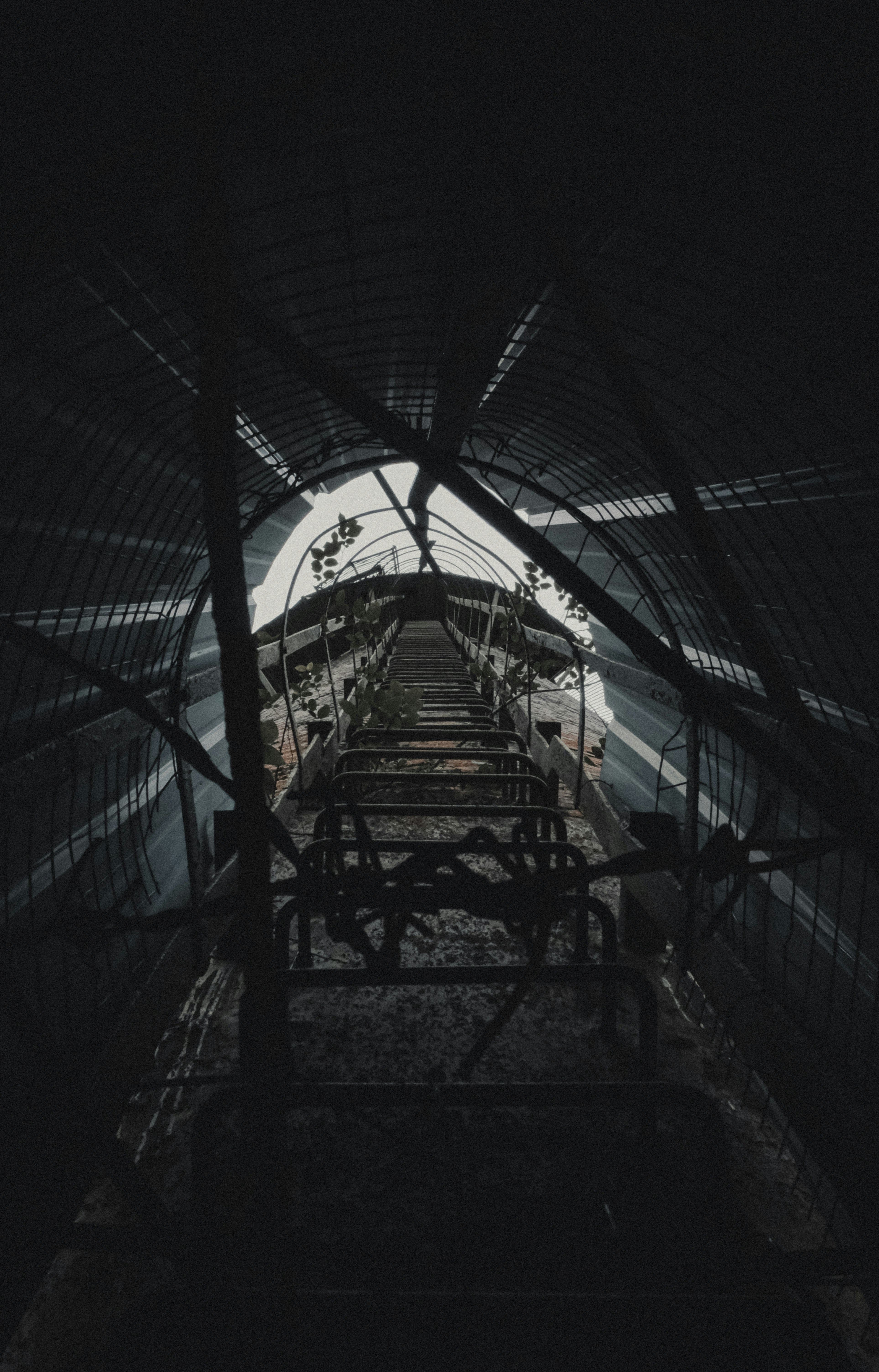 Photo by Palina Kharlanovich with Fujifilm X-T3