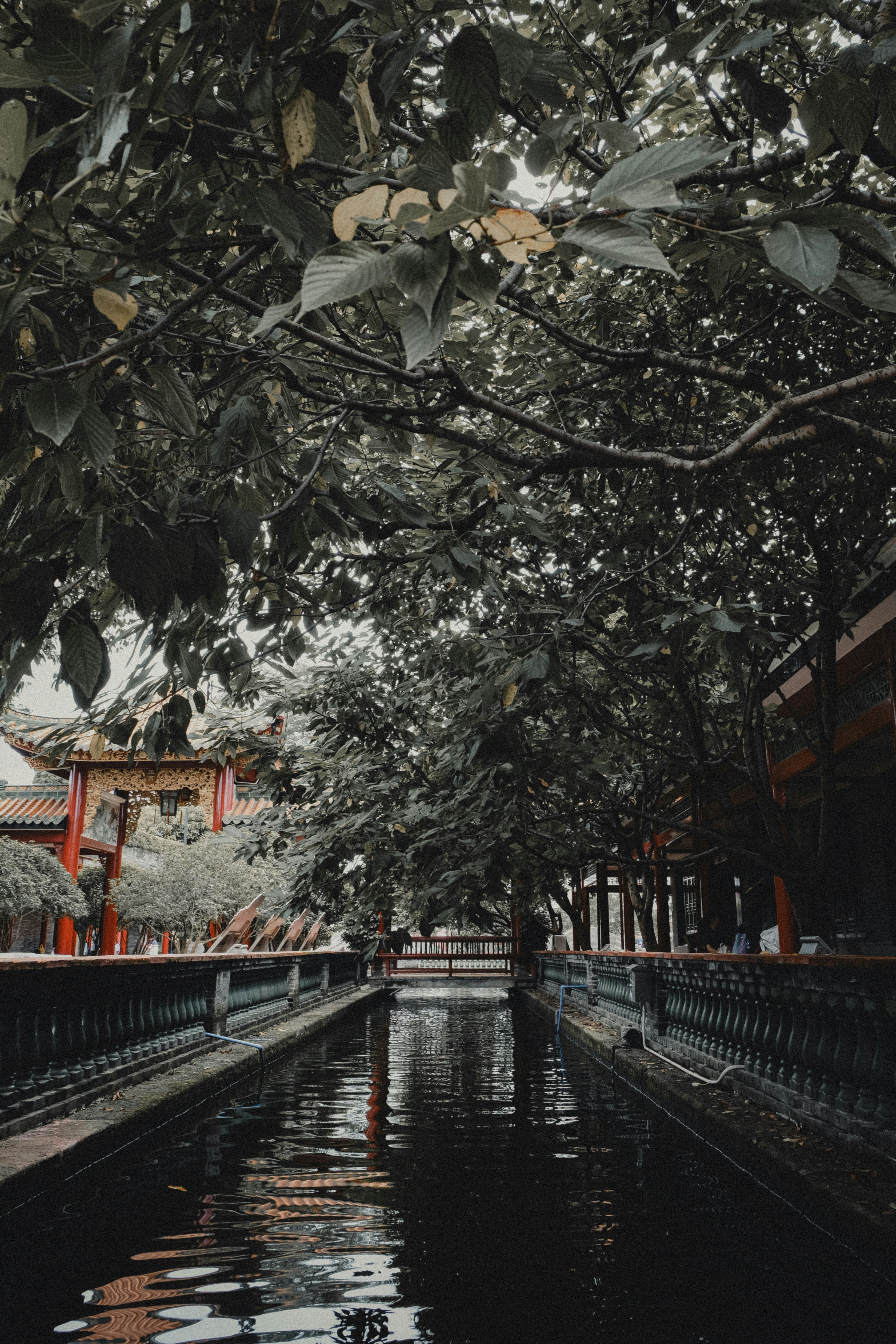Red Gate Reflections along a Tranquil Temple Canal