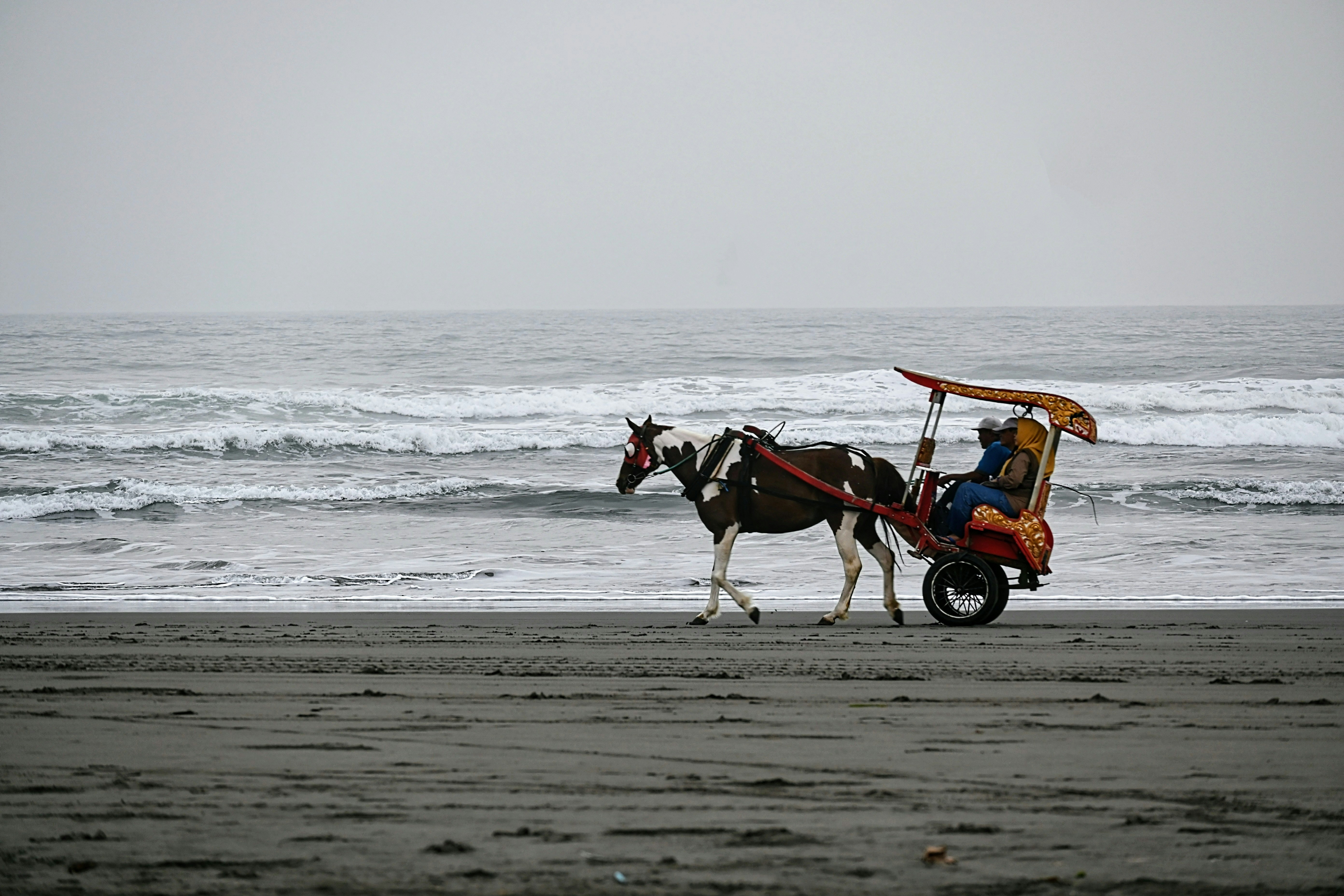 Carriage on Parangtritis beach | A horse drawn carriage on a beach next to the ocean
