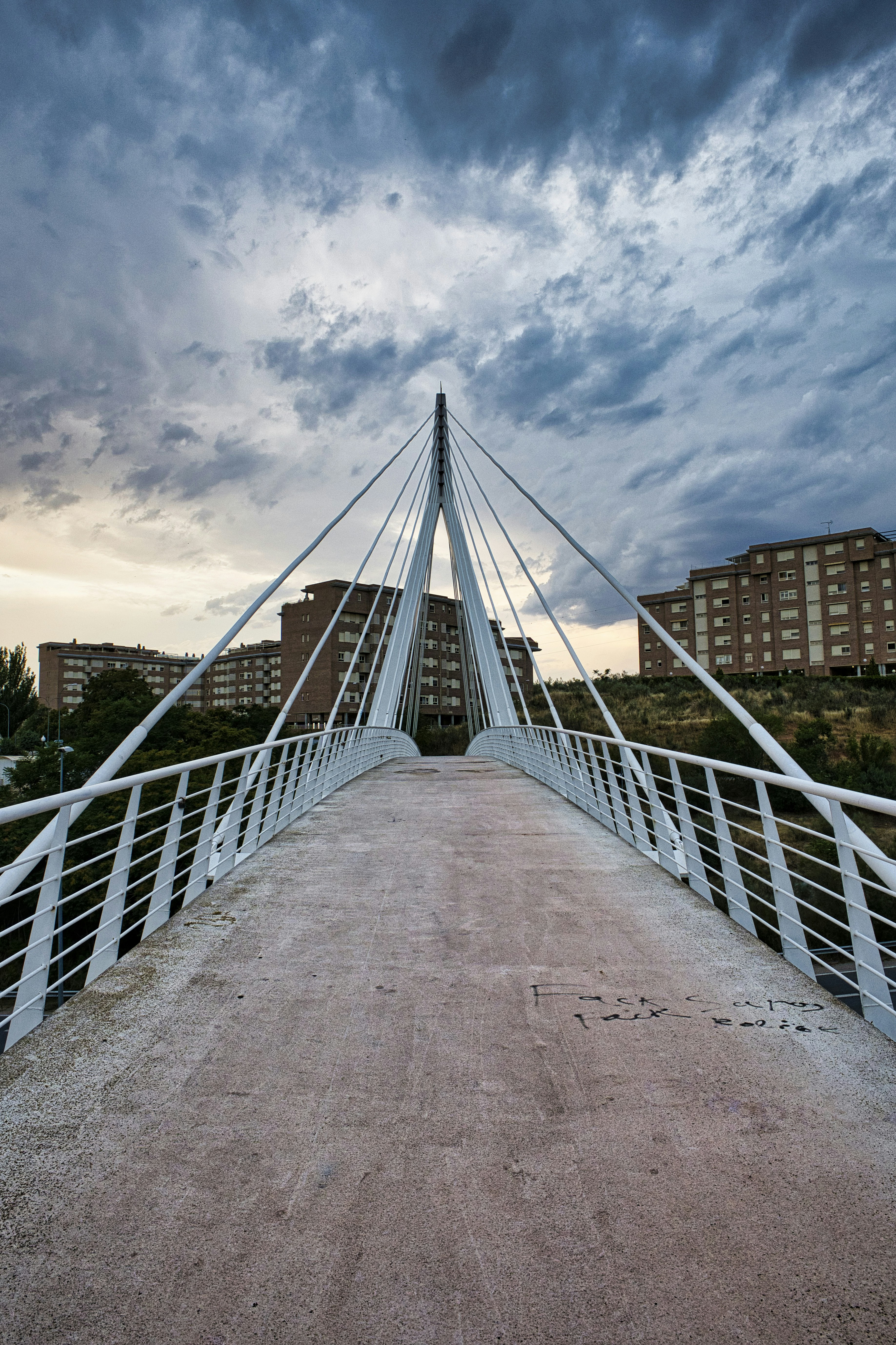 Convergence at the Cable Bridge: A Walk Toward the City Horizon