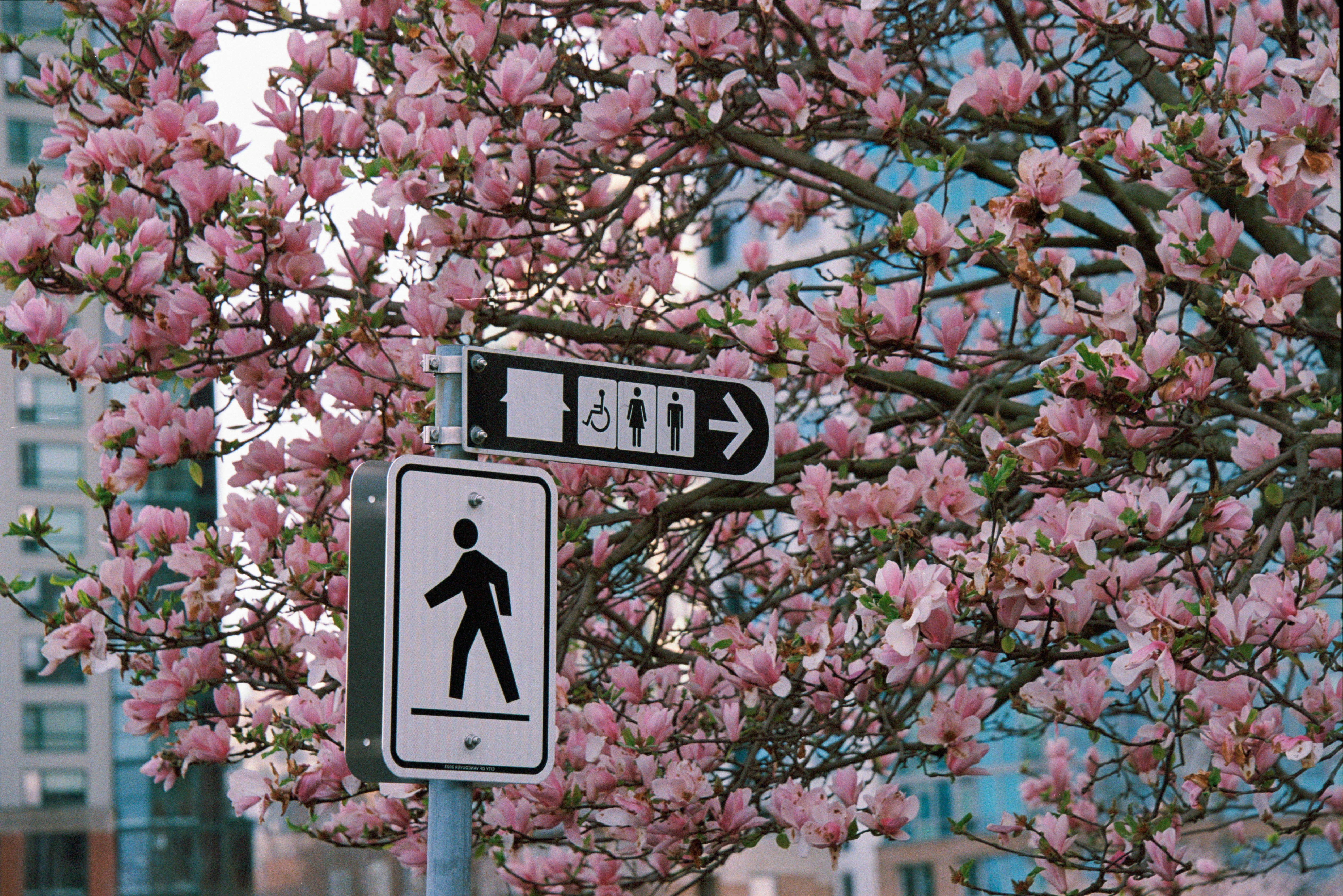 Photo by Atul Vinayak with Plustek OpticFilm 8100