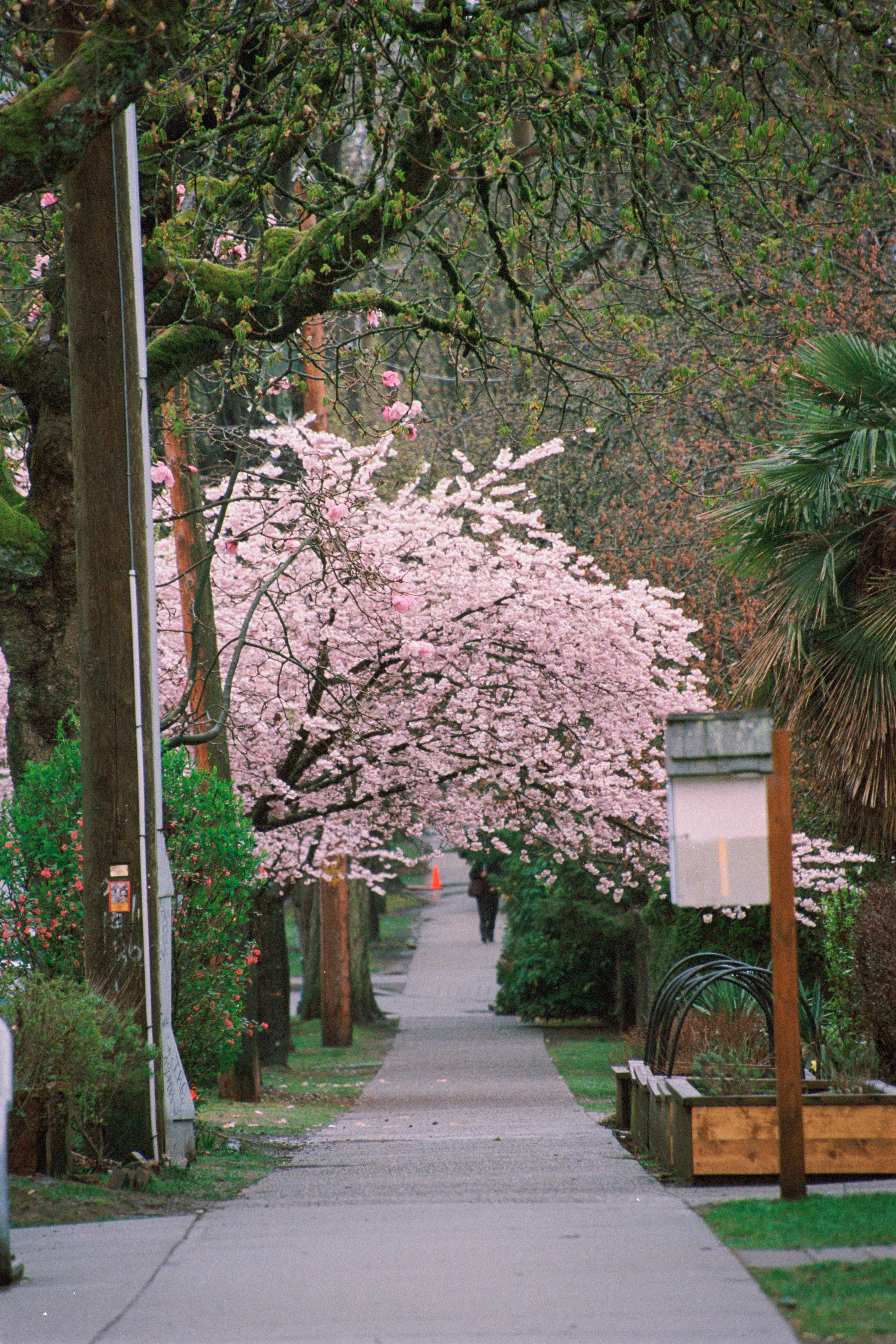 Photo by Atul Vinayak with Plustek OpticFilm 8100