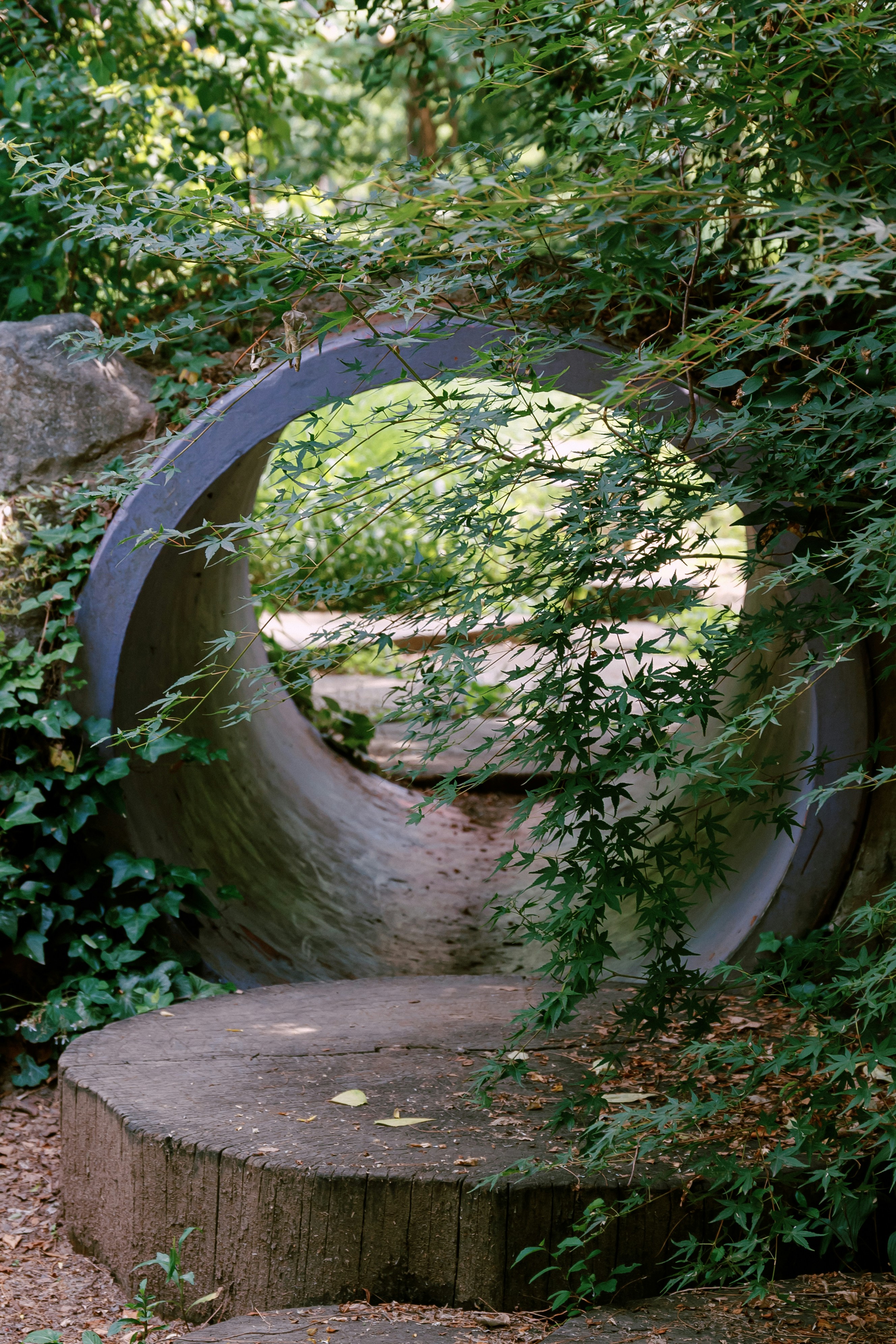 Through the Green Ring: A Quiet Concrete Tunnel Framed by Leaves
