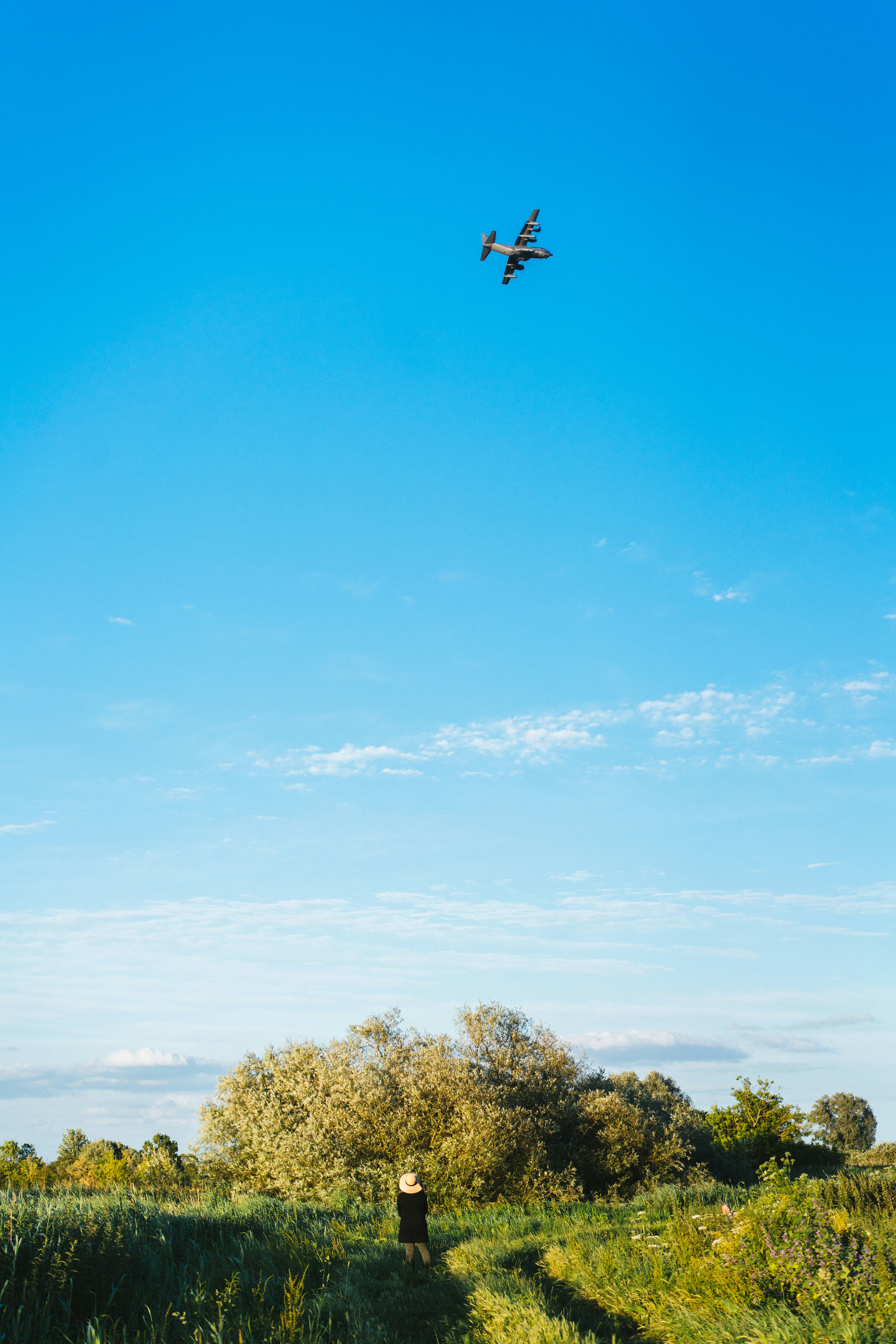 Una avioneta volando sobre un exuberante campo verde foto – Imagen de ...