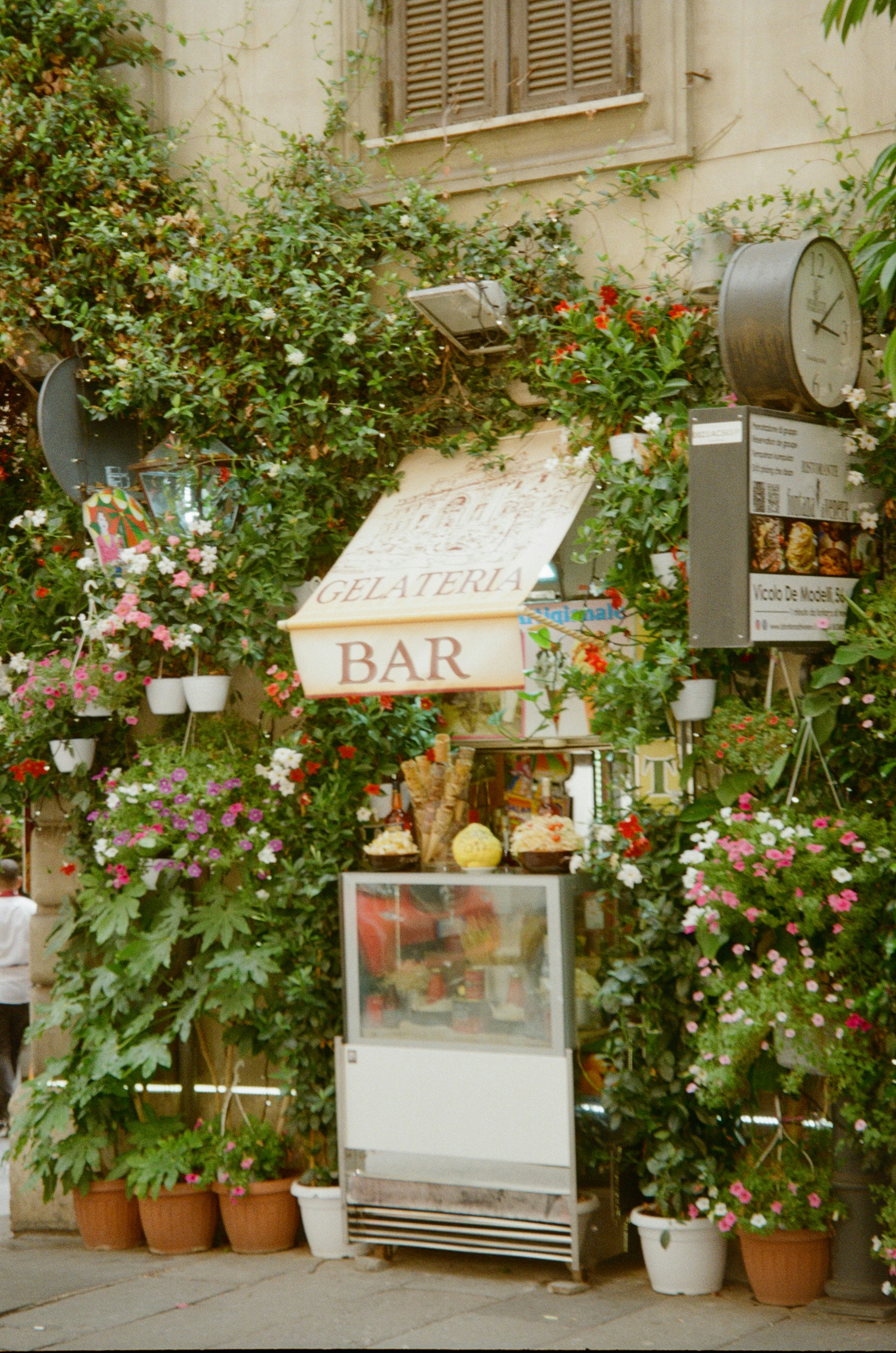 Sample photo from Pentax Espio 145M Super