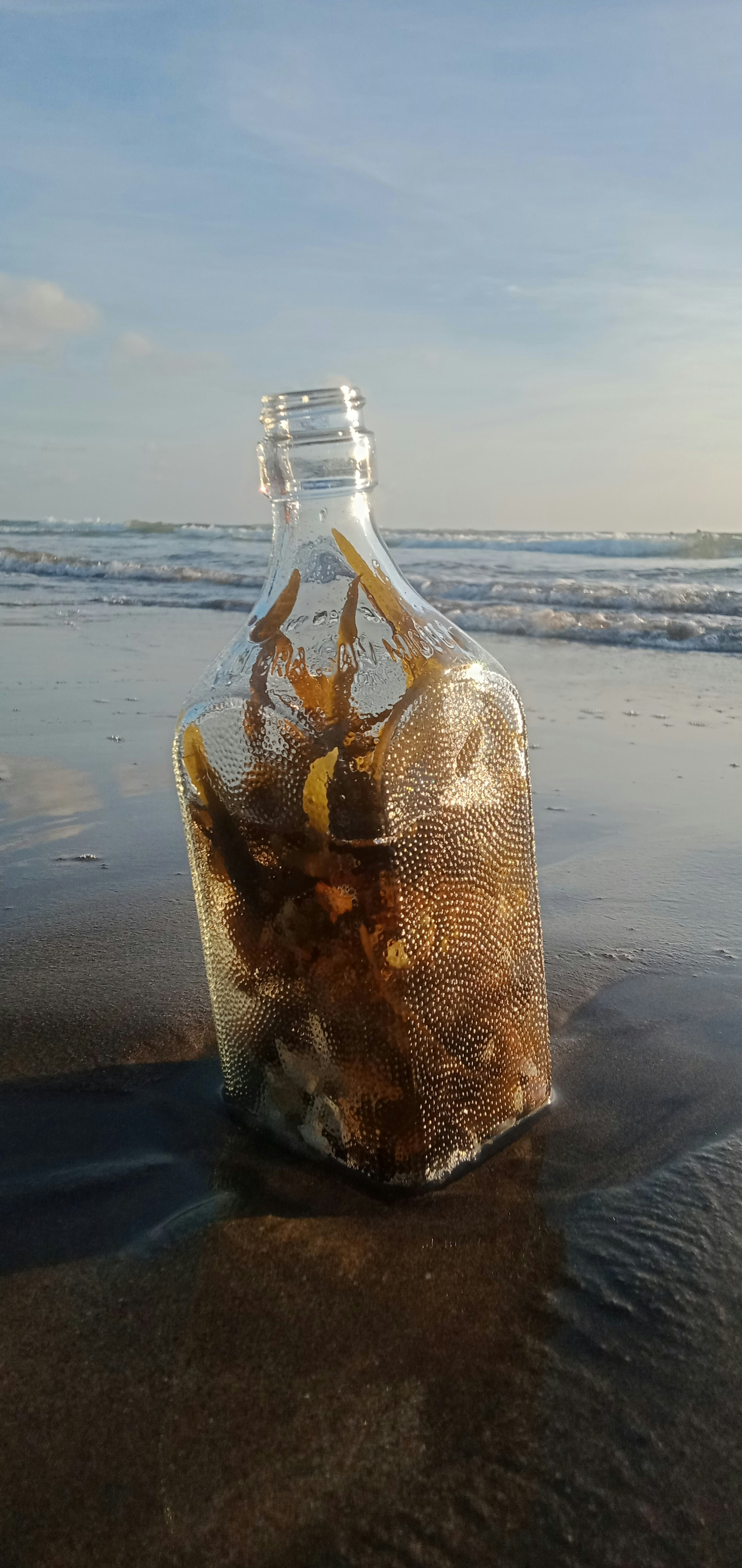 Photo by Nicole Anne Pandacan with Oppo A5s