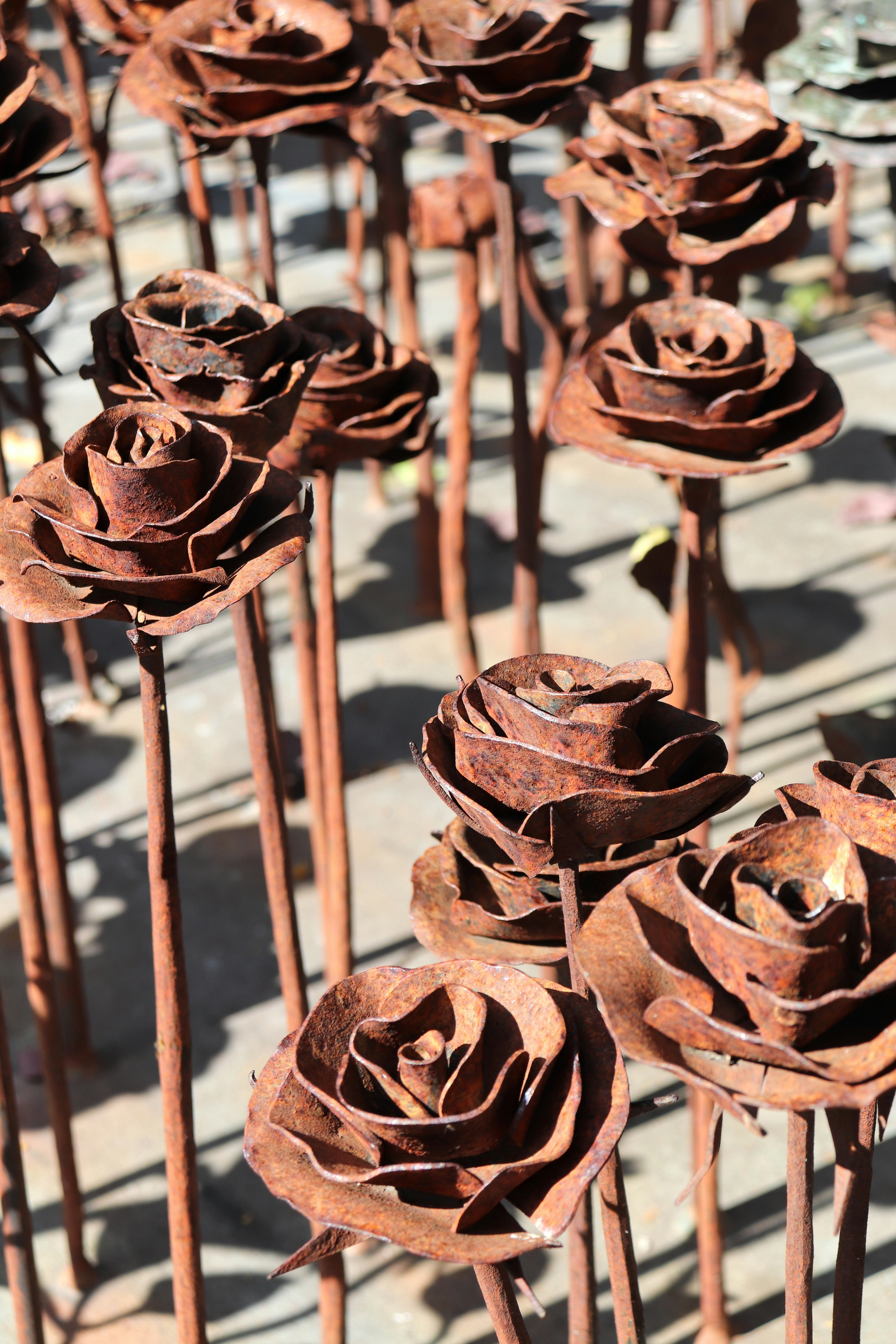 Rusting Iron Roses Reach for Sunlight in a Quiet Metal Garden