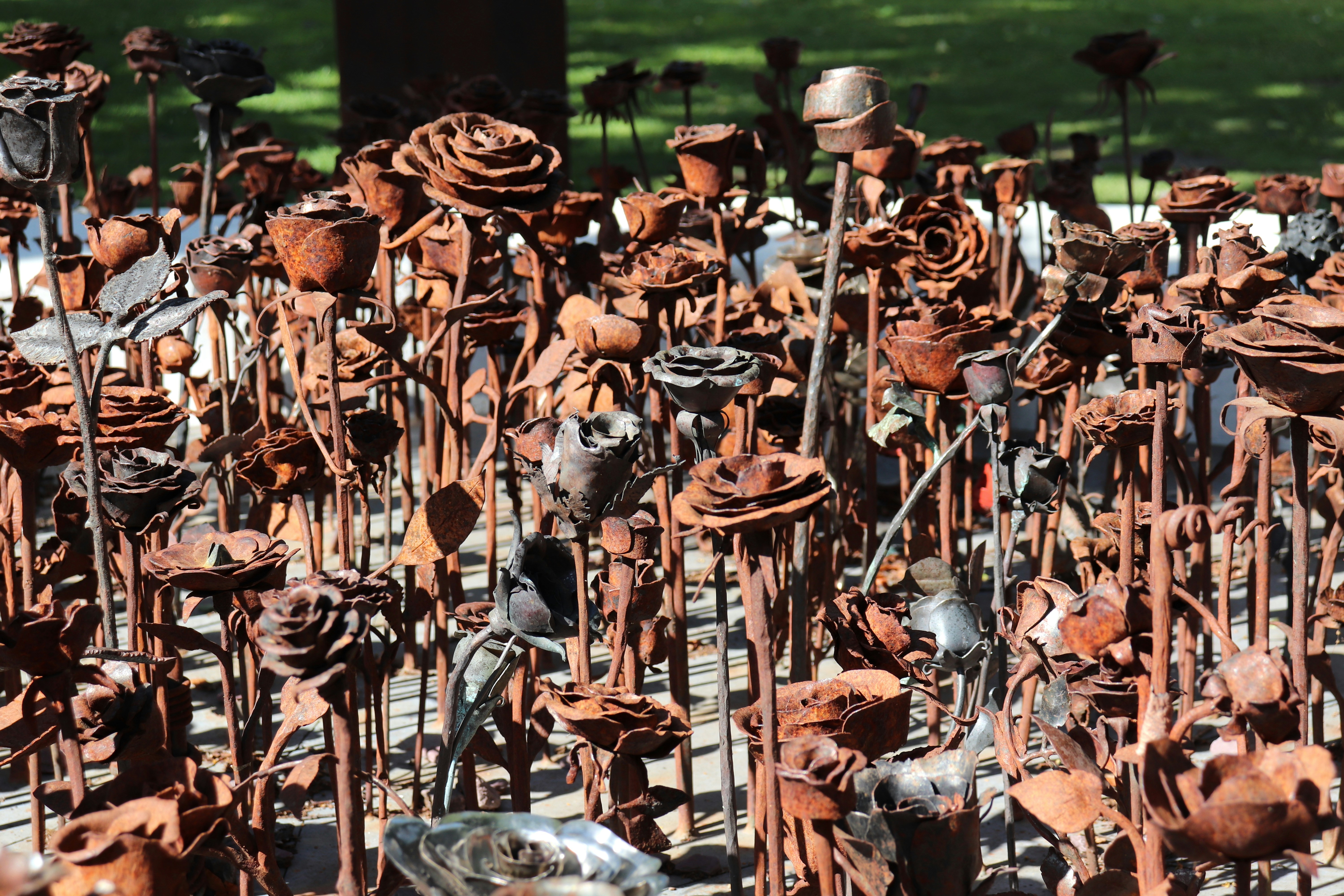 A large pile of rusted metal objects in a park photo – Free Oslo Image ...