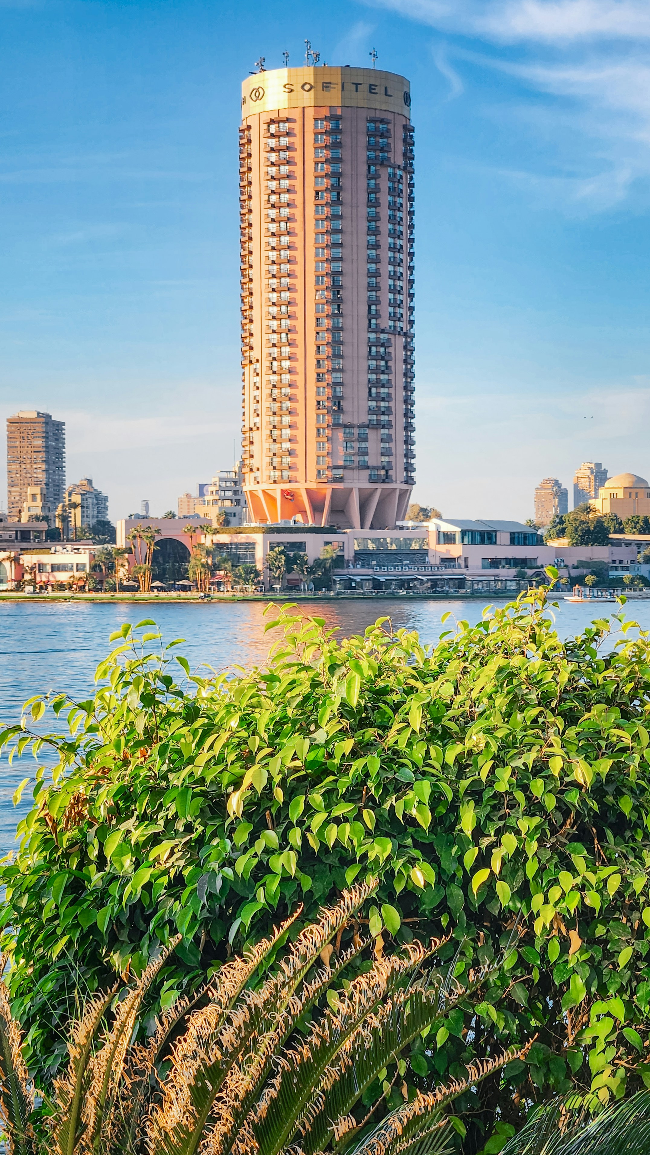 The Urban Oasis: Sofitel's Iconic Presence