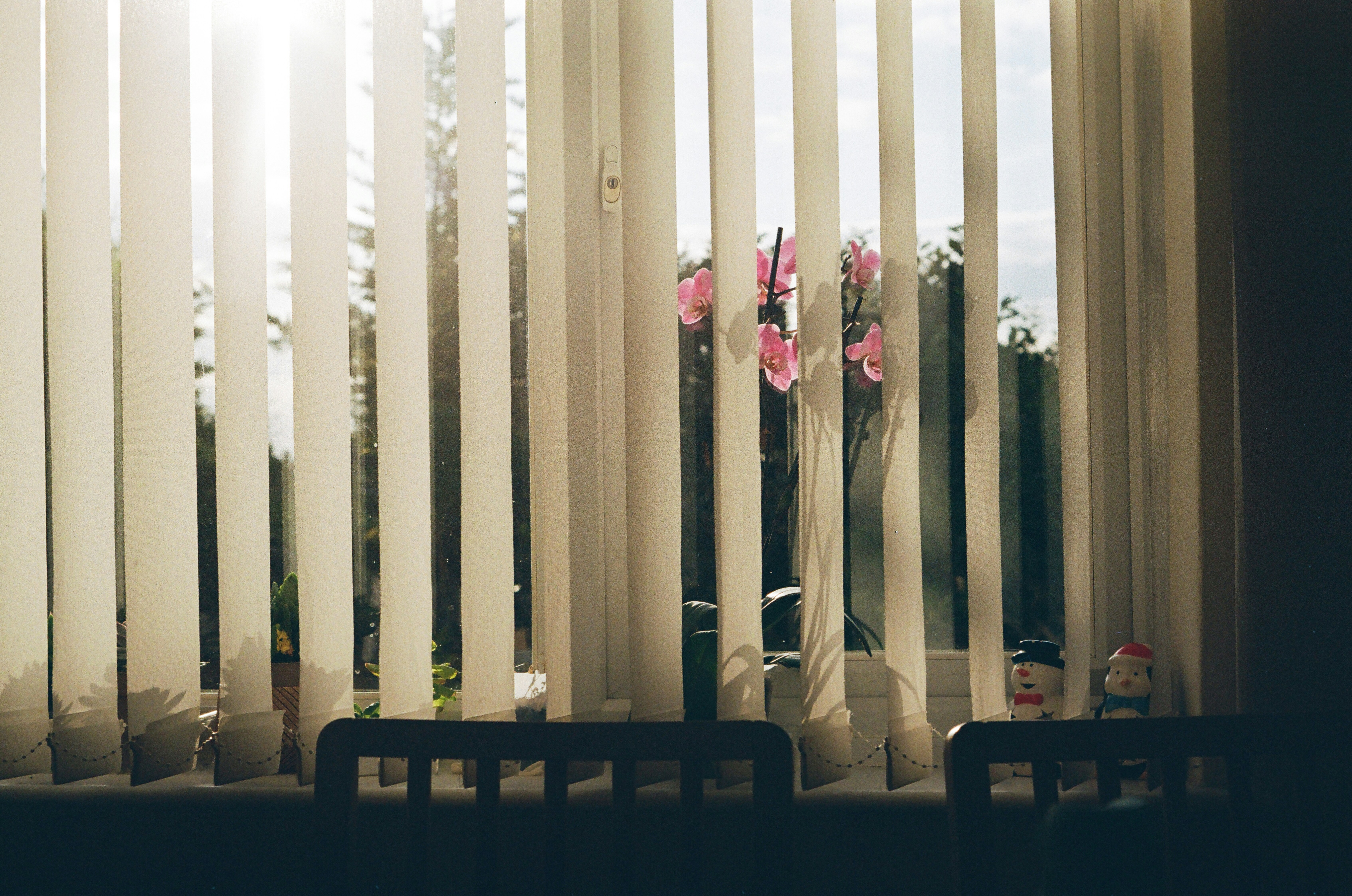 Sample photo from Pentax ME Super