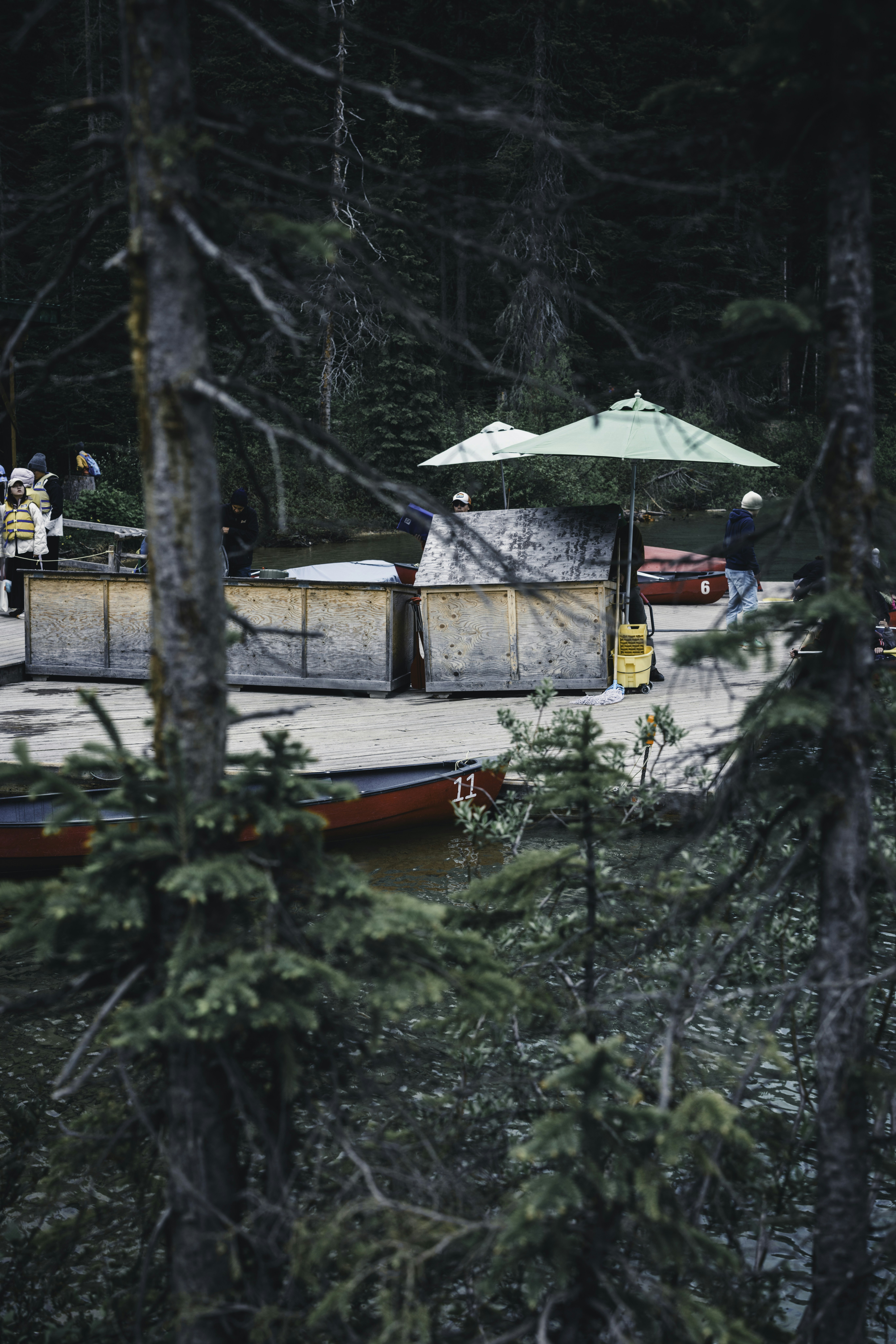 Yoho National Park has never looked better