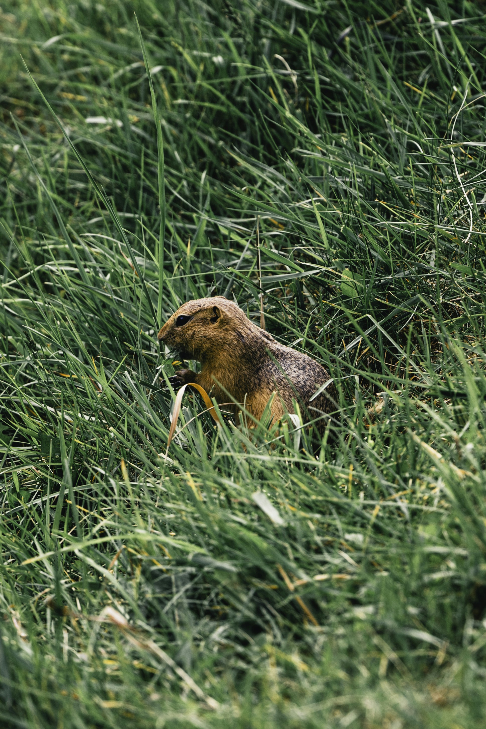 Calgary Zoo was an amazing experience