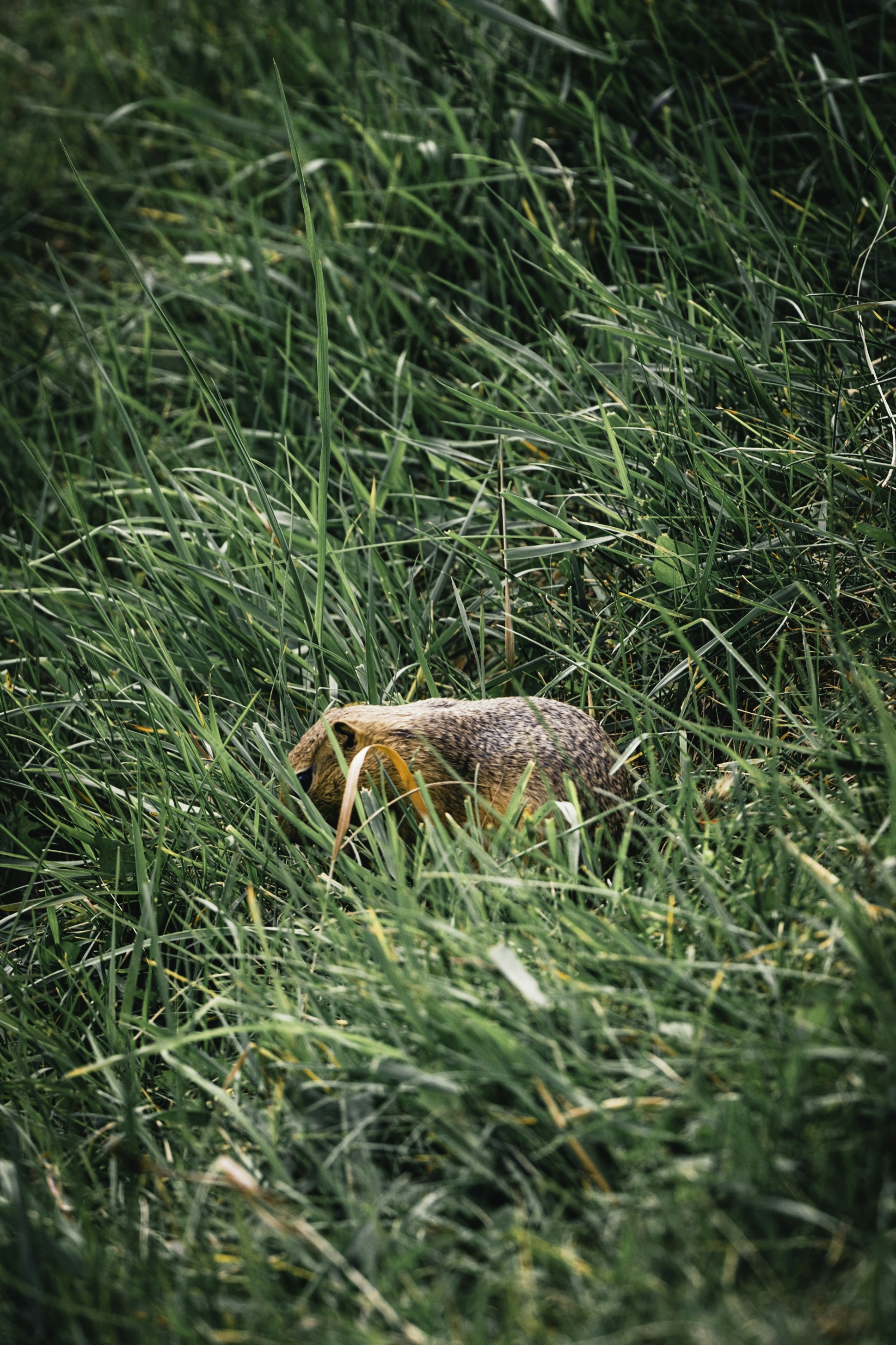 Calgary Zoo was an amazing experience