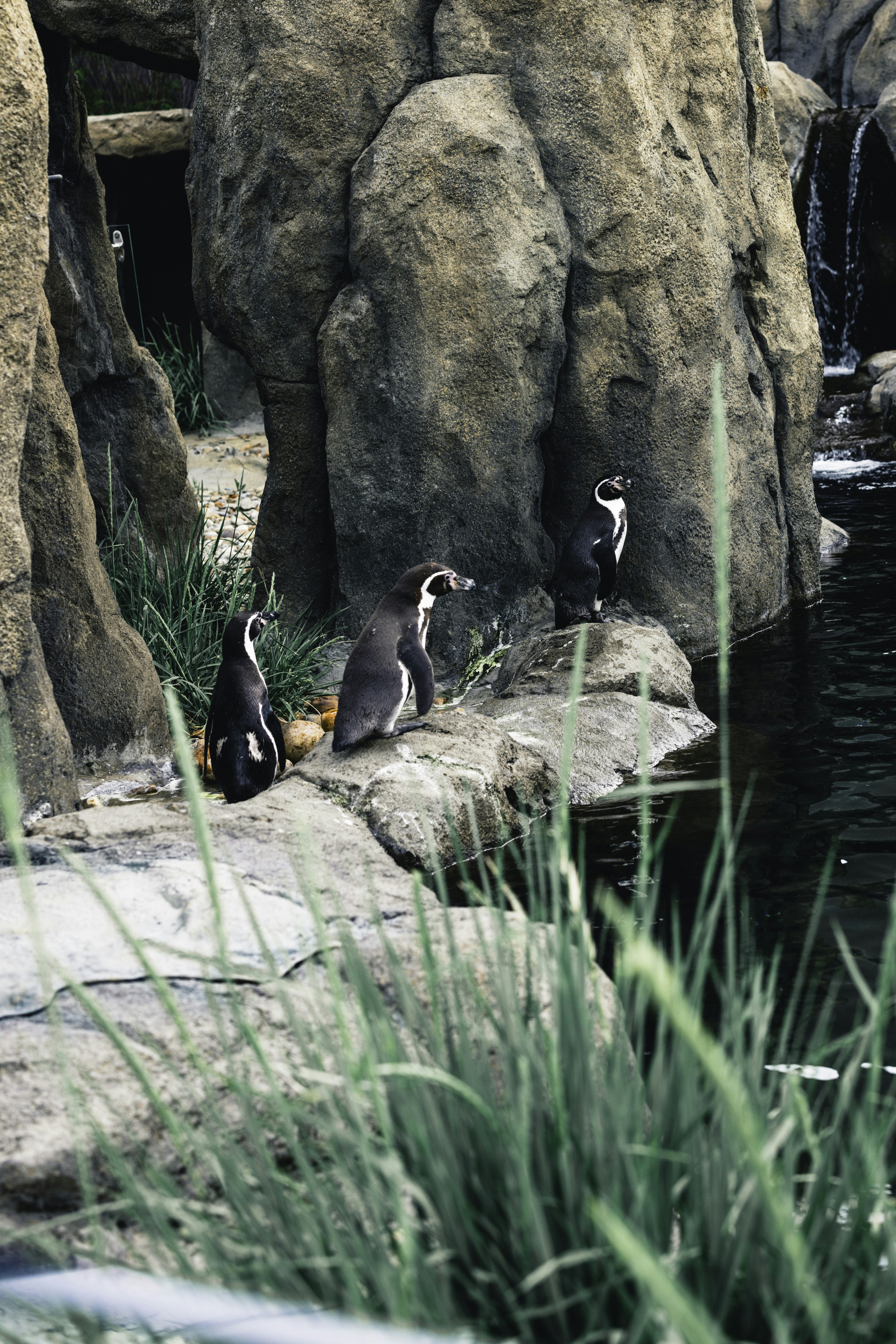 Calgary Zoo was an amazing experience