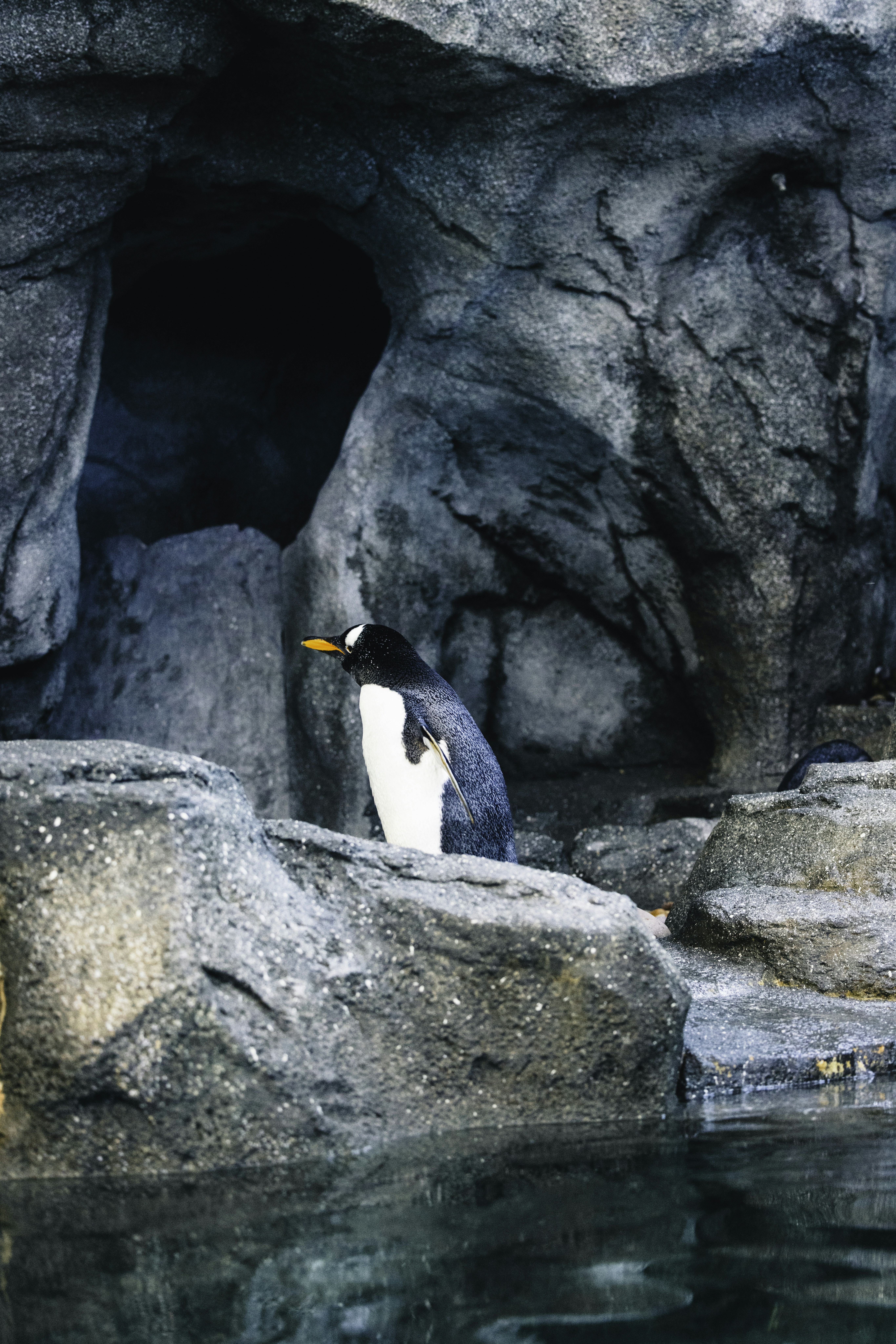 Calgary Zoo was an amazing experience