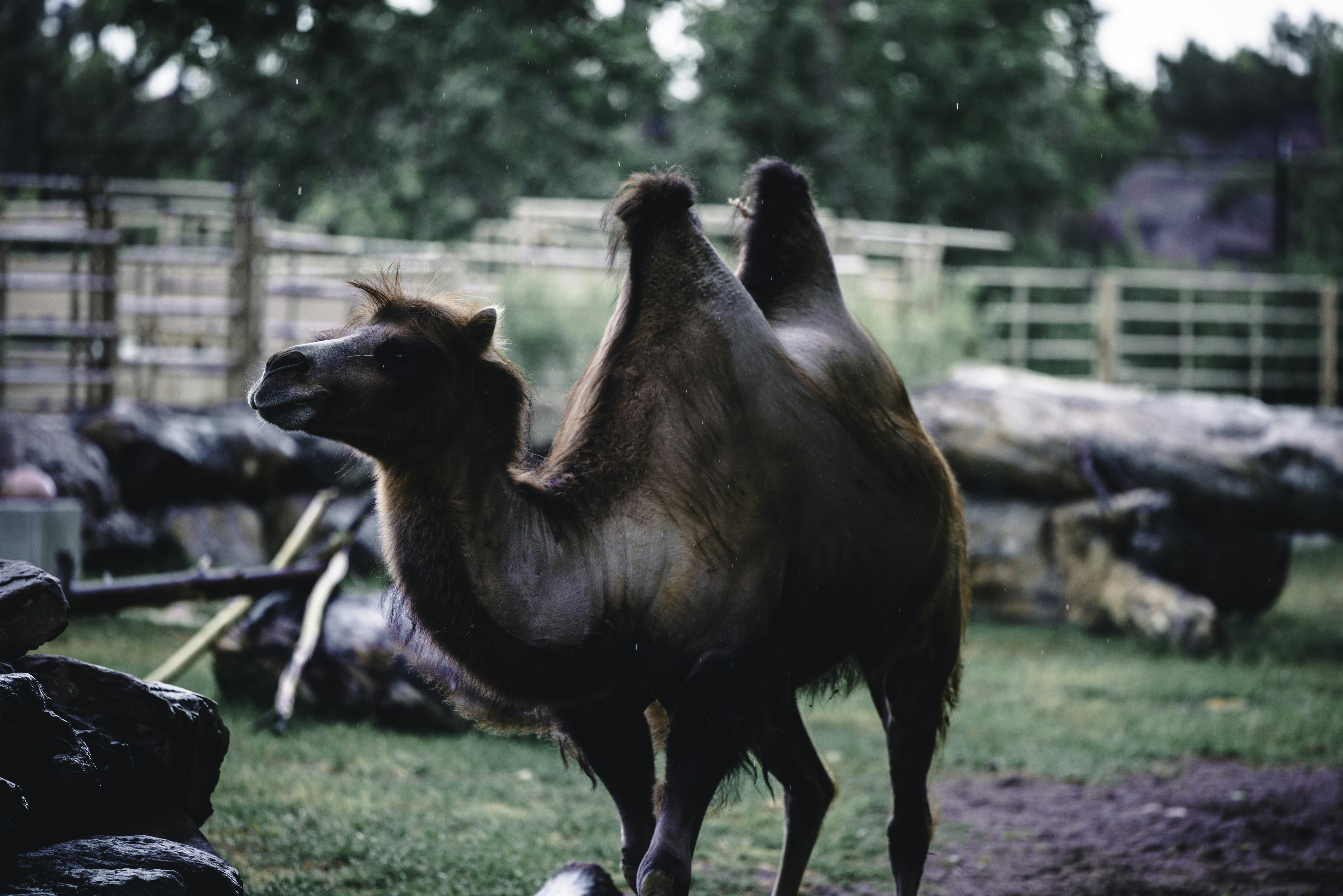 Calgary Zoo was an amazing experience
