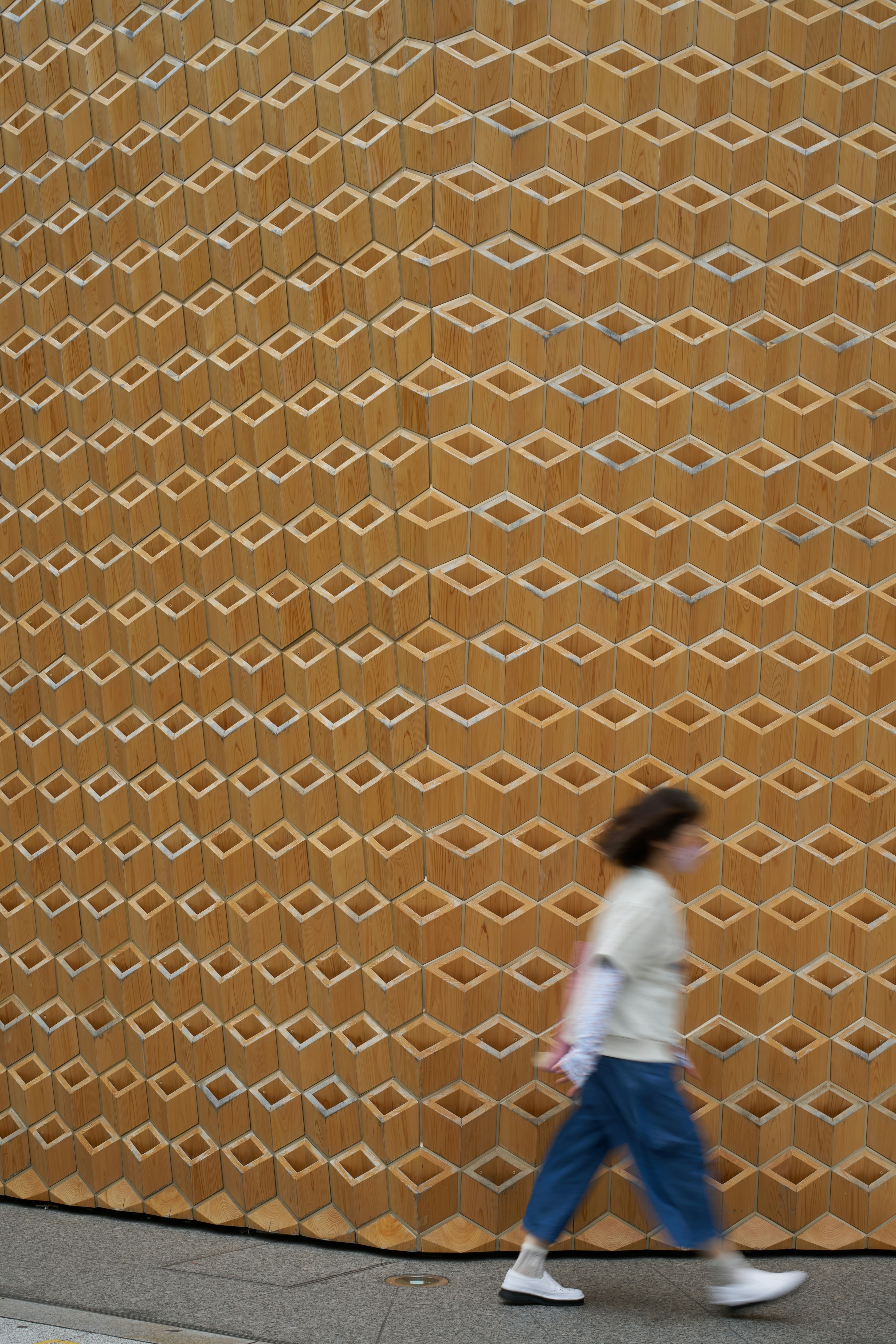 Swift Footfalls Before a Diamond-Lattice Cedar Wall