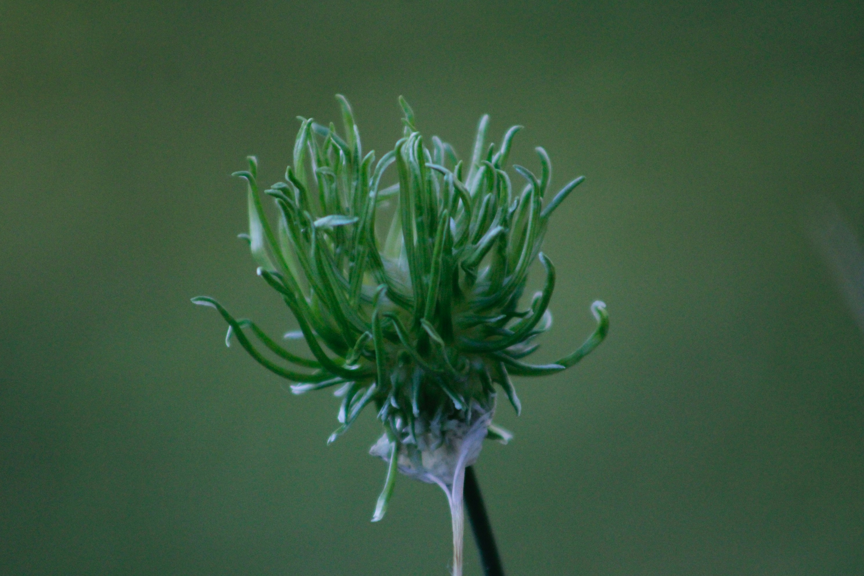 Photo by Lisa Siefert with Canon EOS 2000D