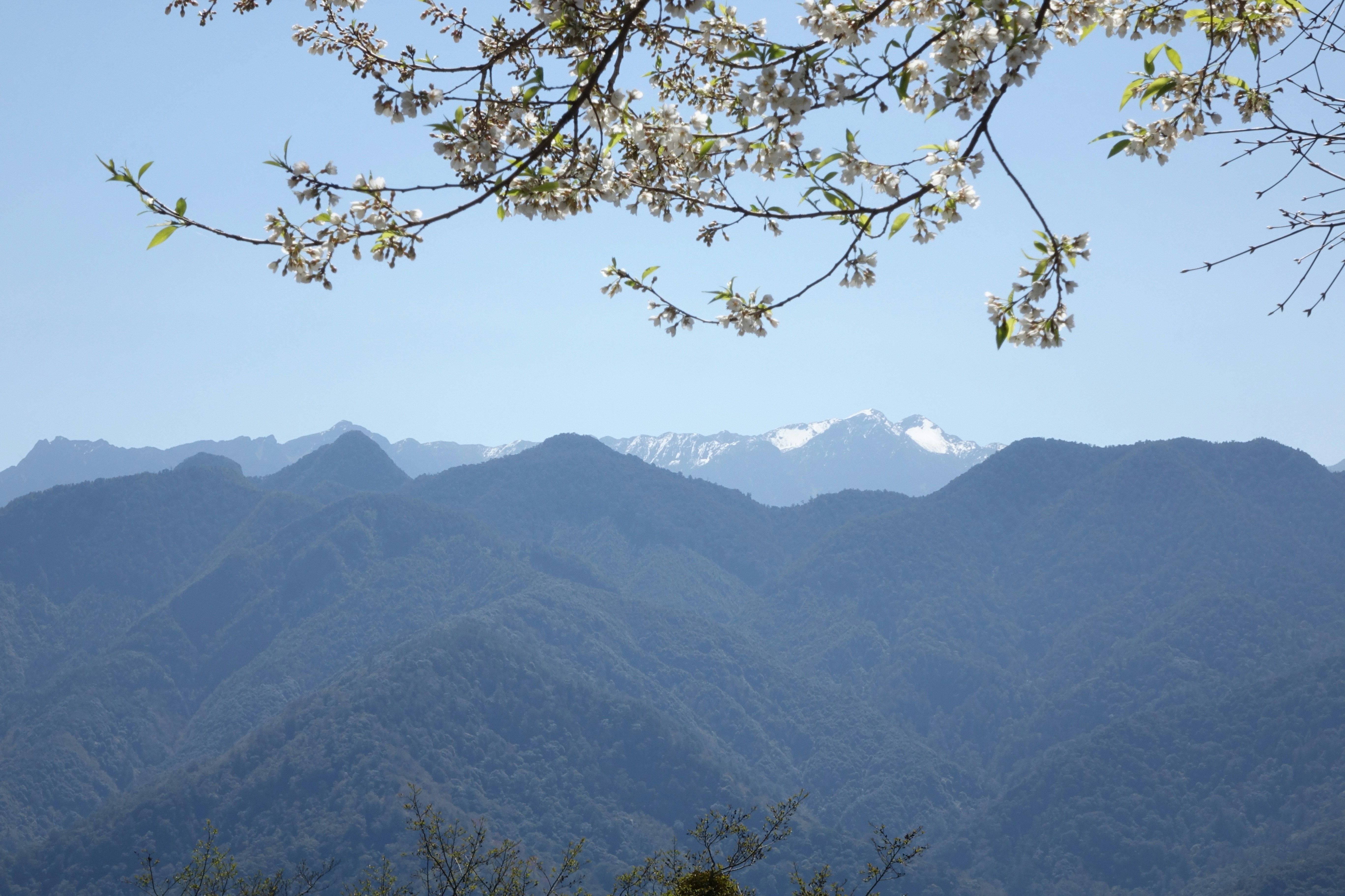 Photo by Arthur Tseng with Sony Cyber-shot RX10 II