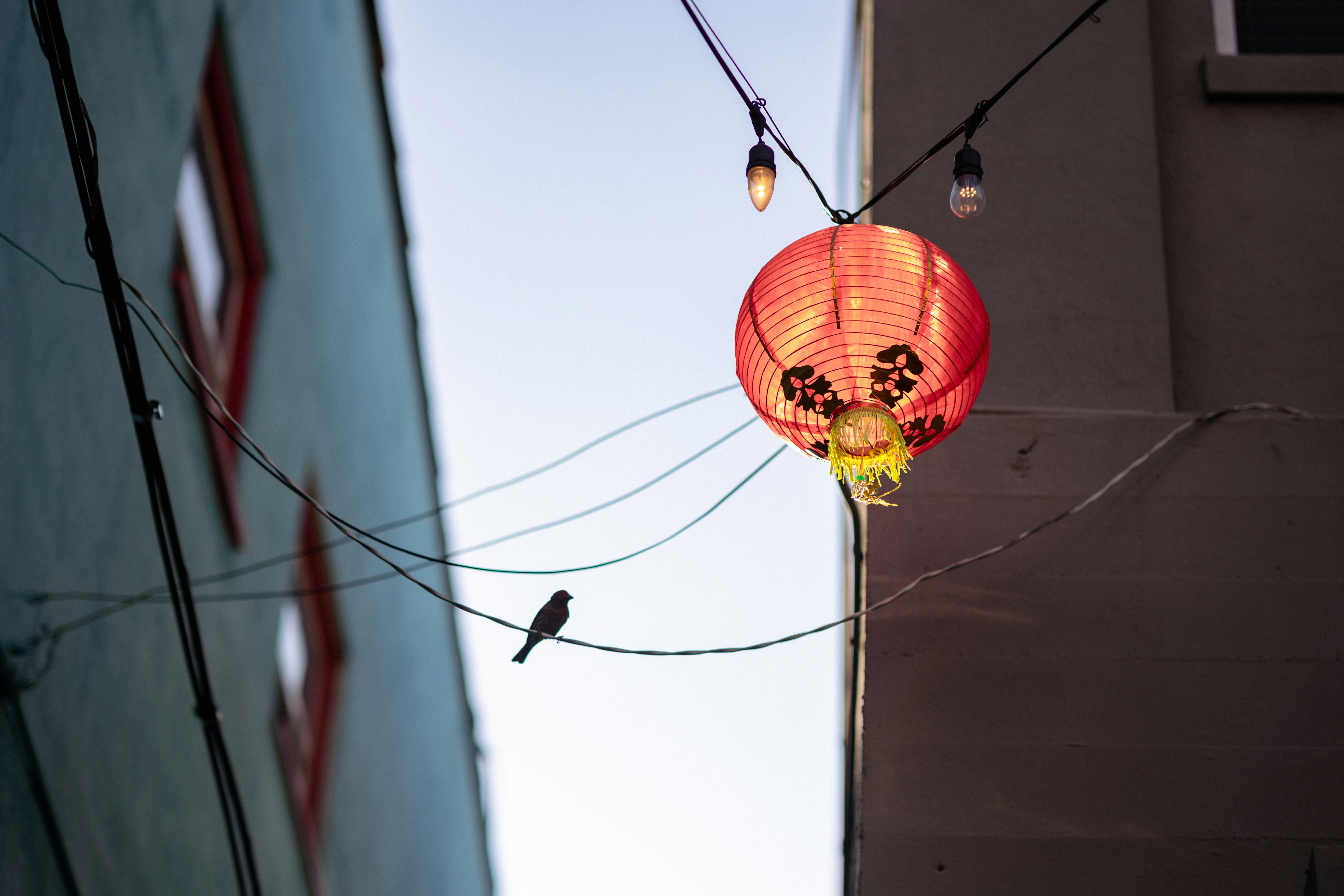 Red Lantern Between Skies and Walls