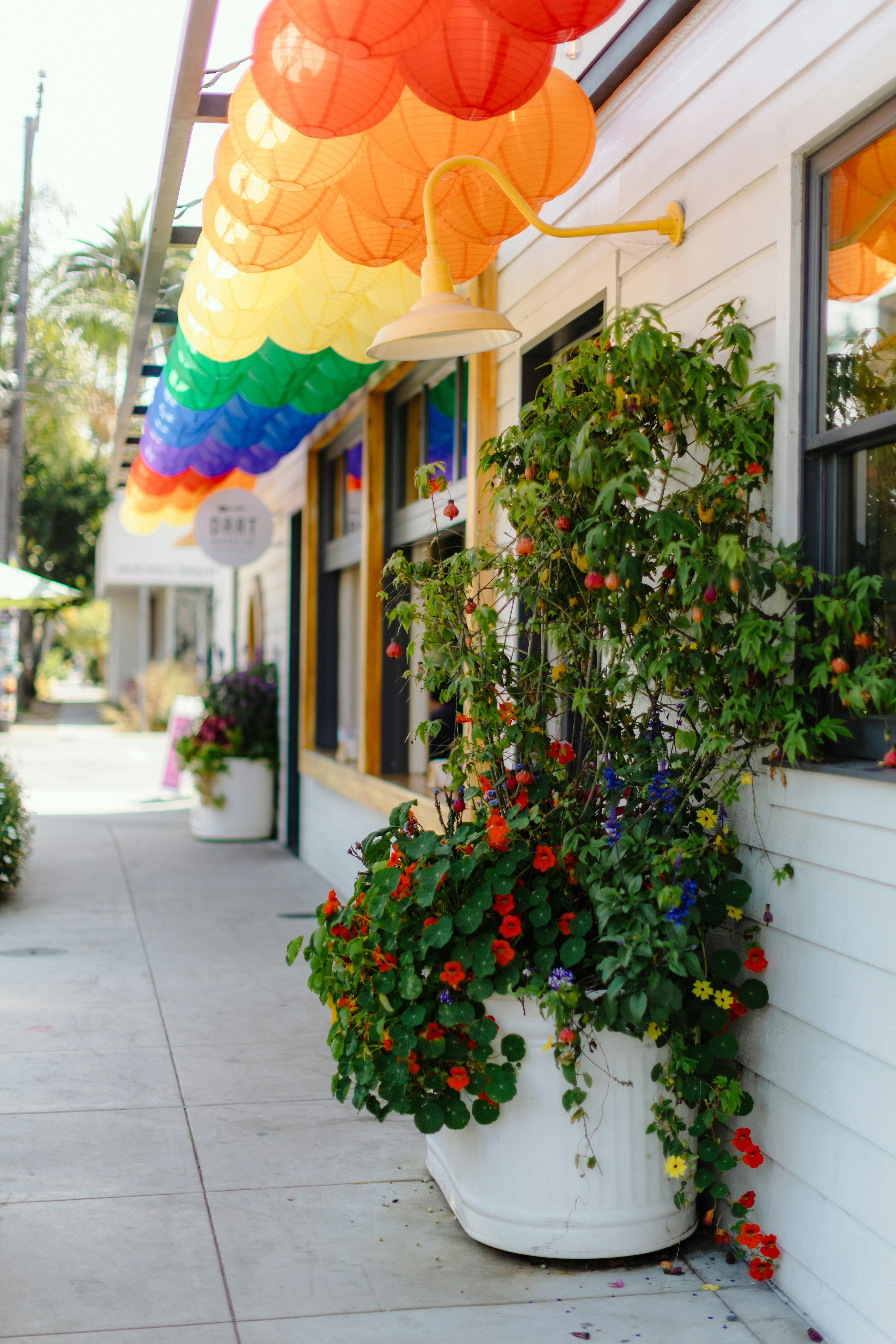 Rainbow Lanterns Draped Over a White-Washed Shopfront Framed by Verdant Blooms