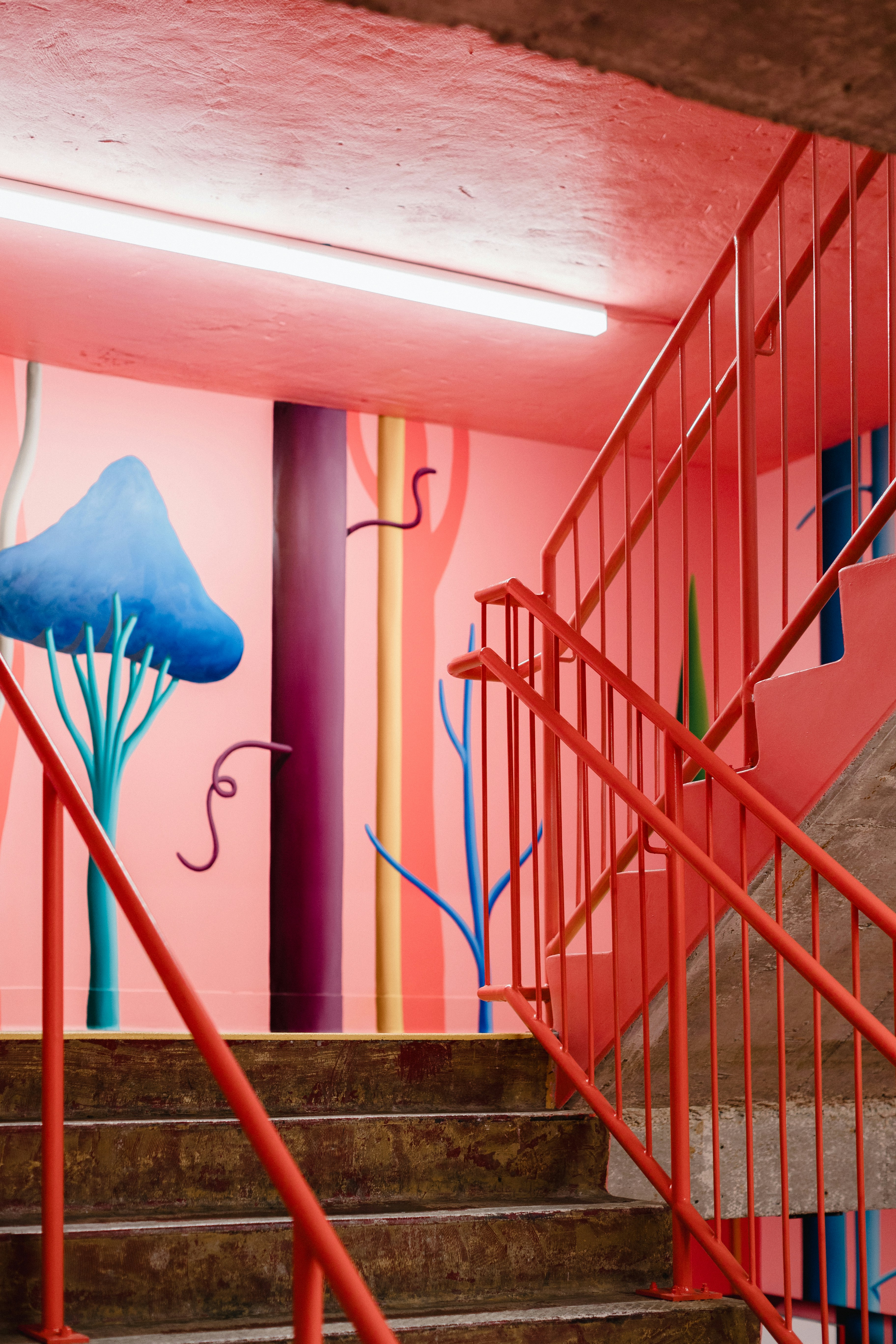 Photo by Jason Leung with Canon EOS R6