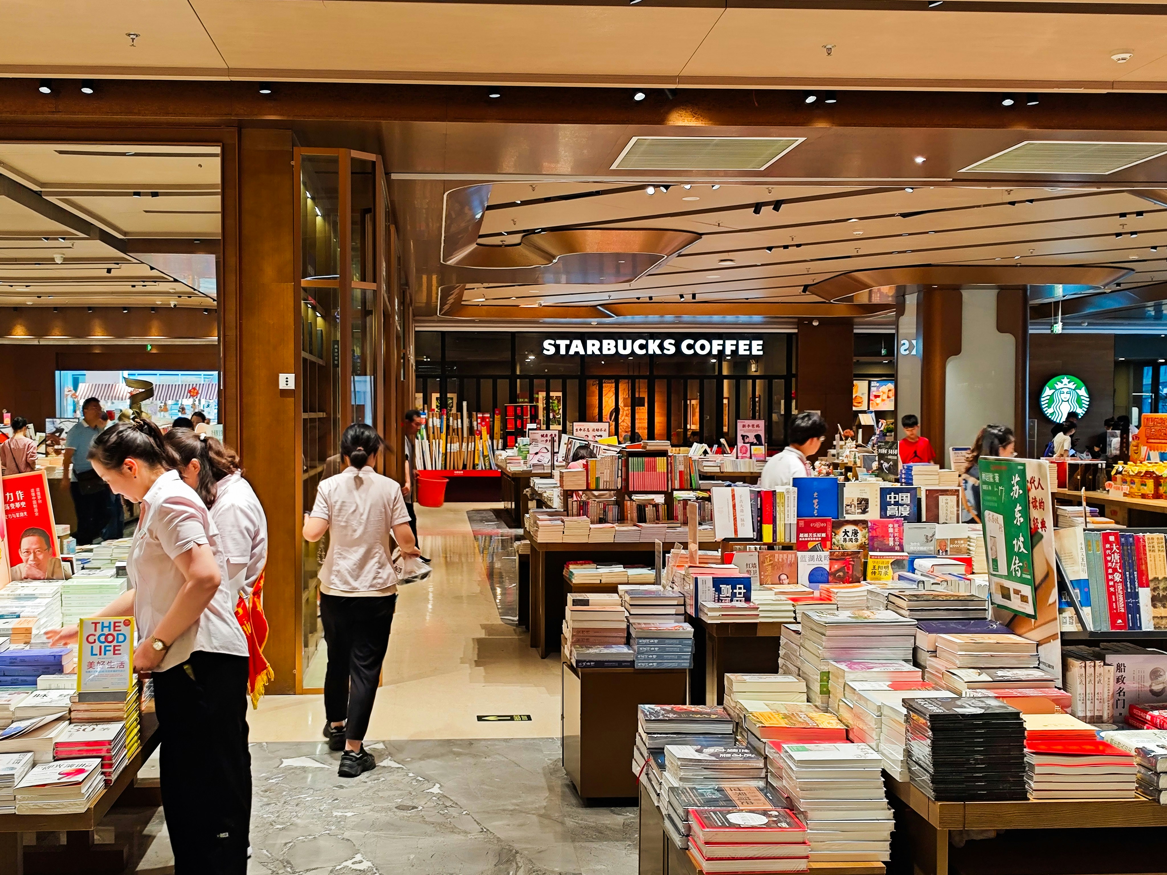 A Quiet Aisle of Books: Coffee and Calm in a Sunlit Bookstore