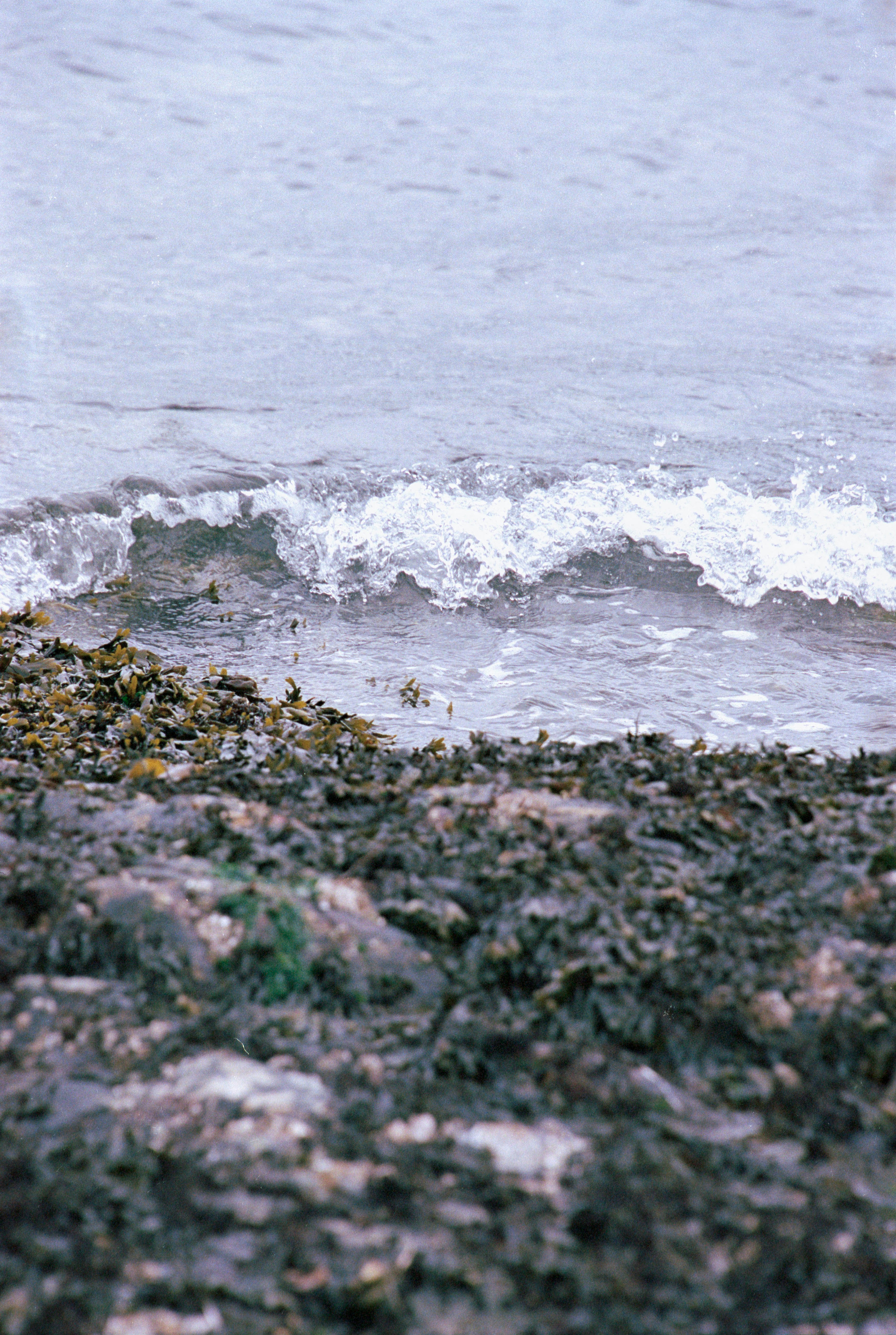 Photo by Atul Vinayak with Plustek OpticFilm 8100