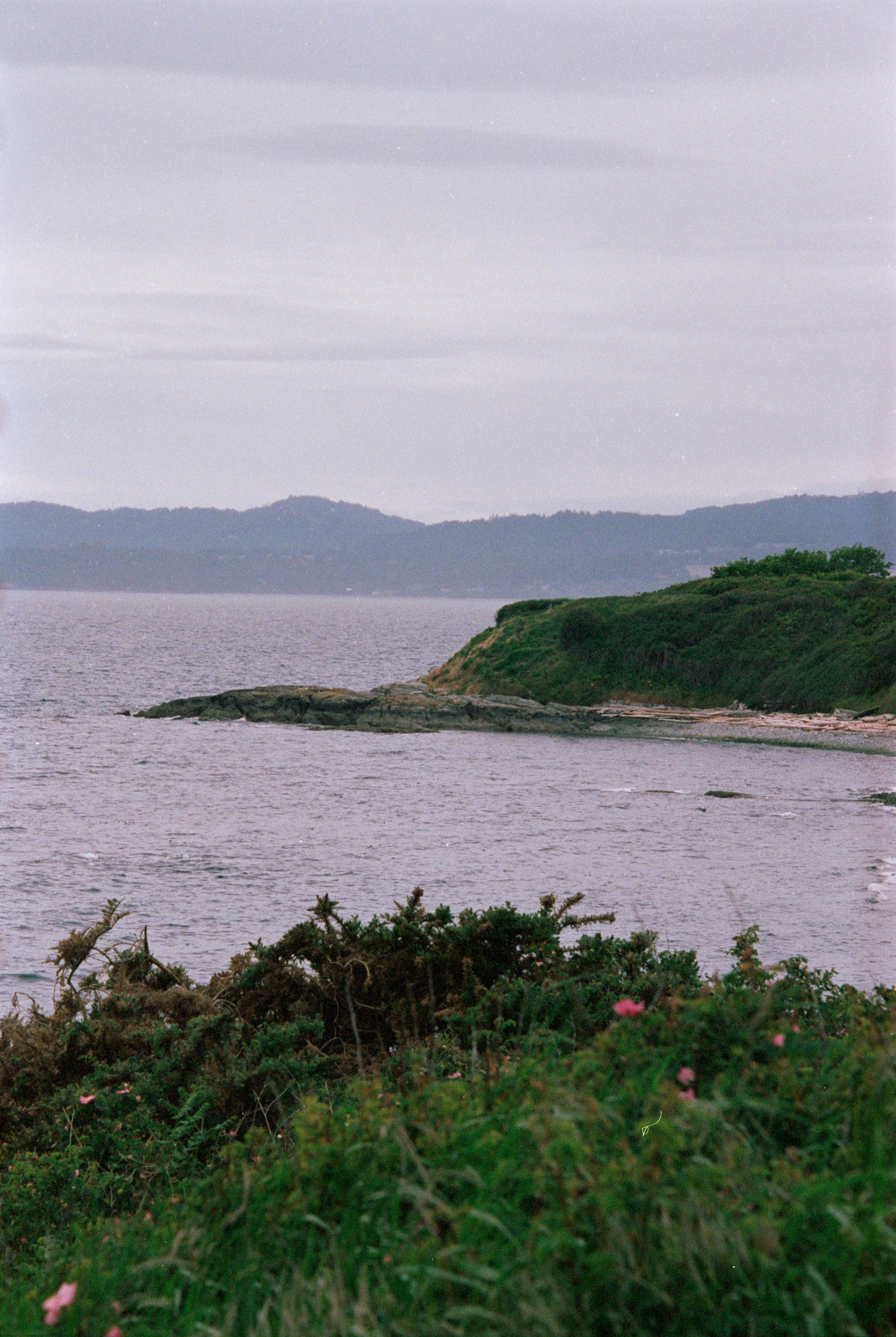 Lush greenery frames the rugged shoreline where gentle waves meet the land under a soft, overcast sky.