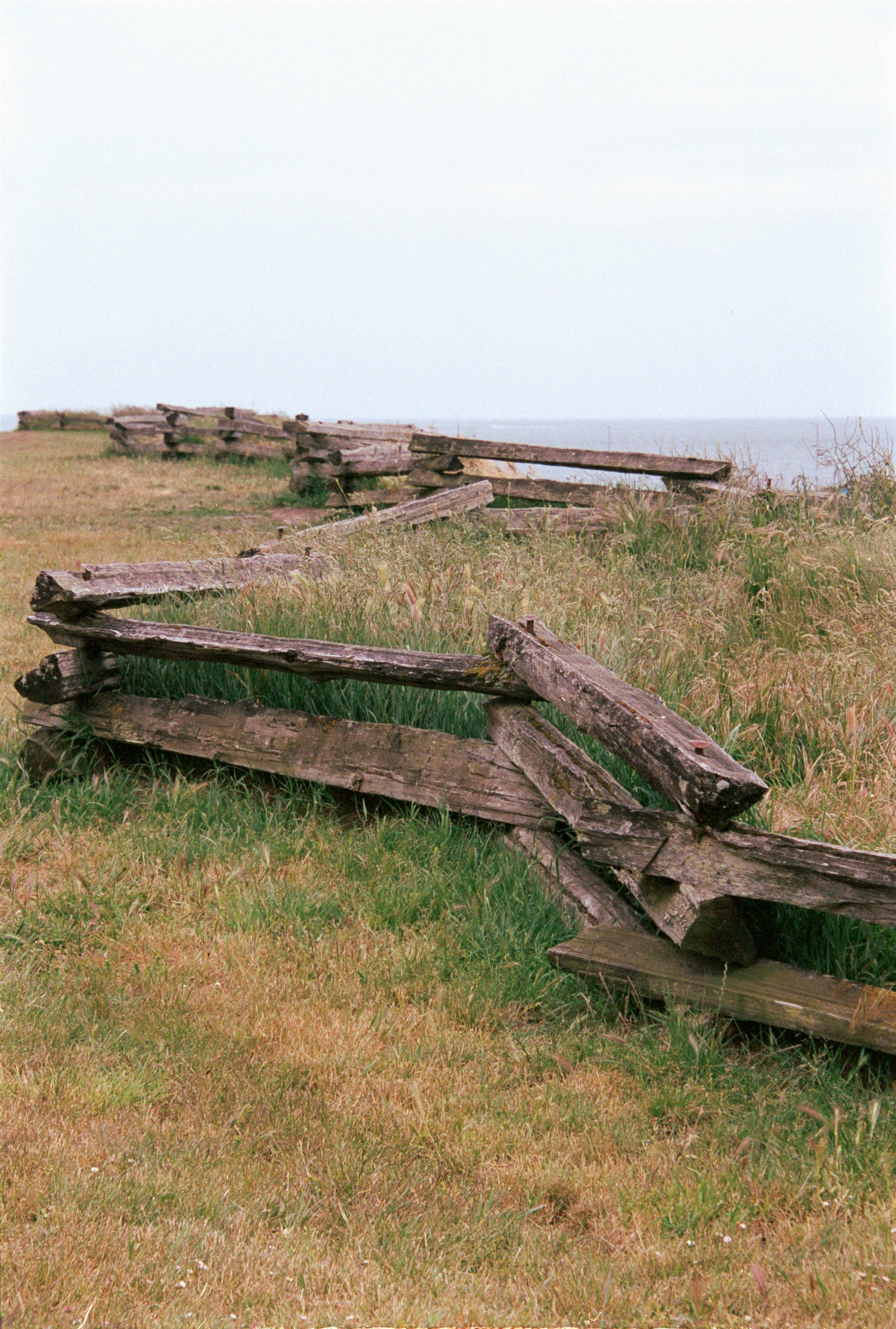 Photo by Atul Vinayak with Plustek OpticFilm 8100