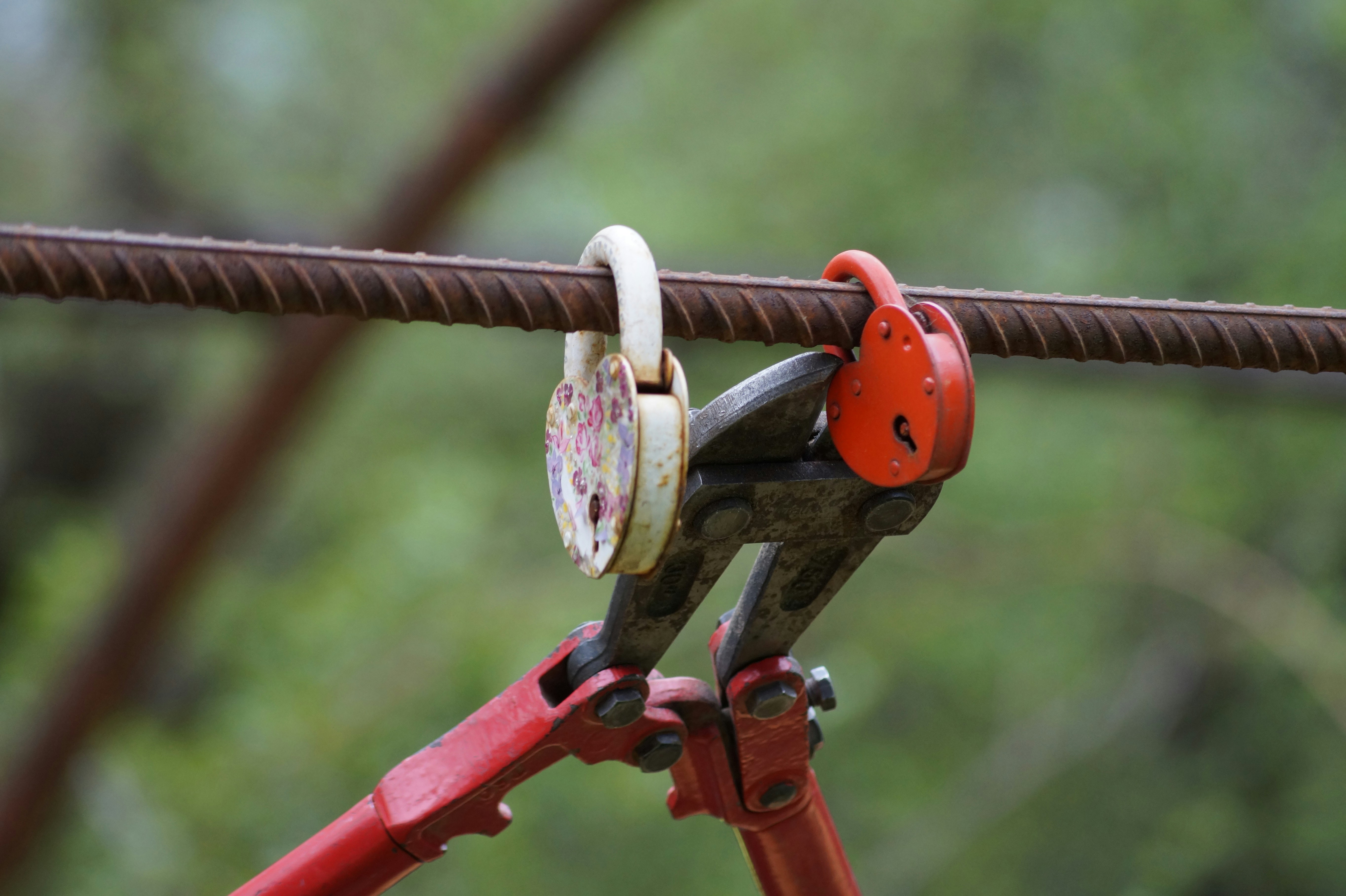 Lock Lineage: A Close-Up of Padlocks on a Weathered Cable