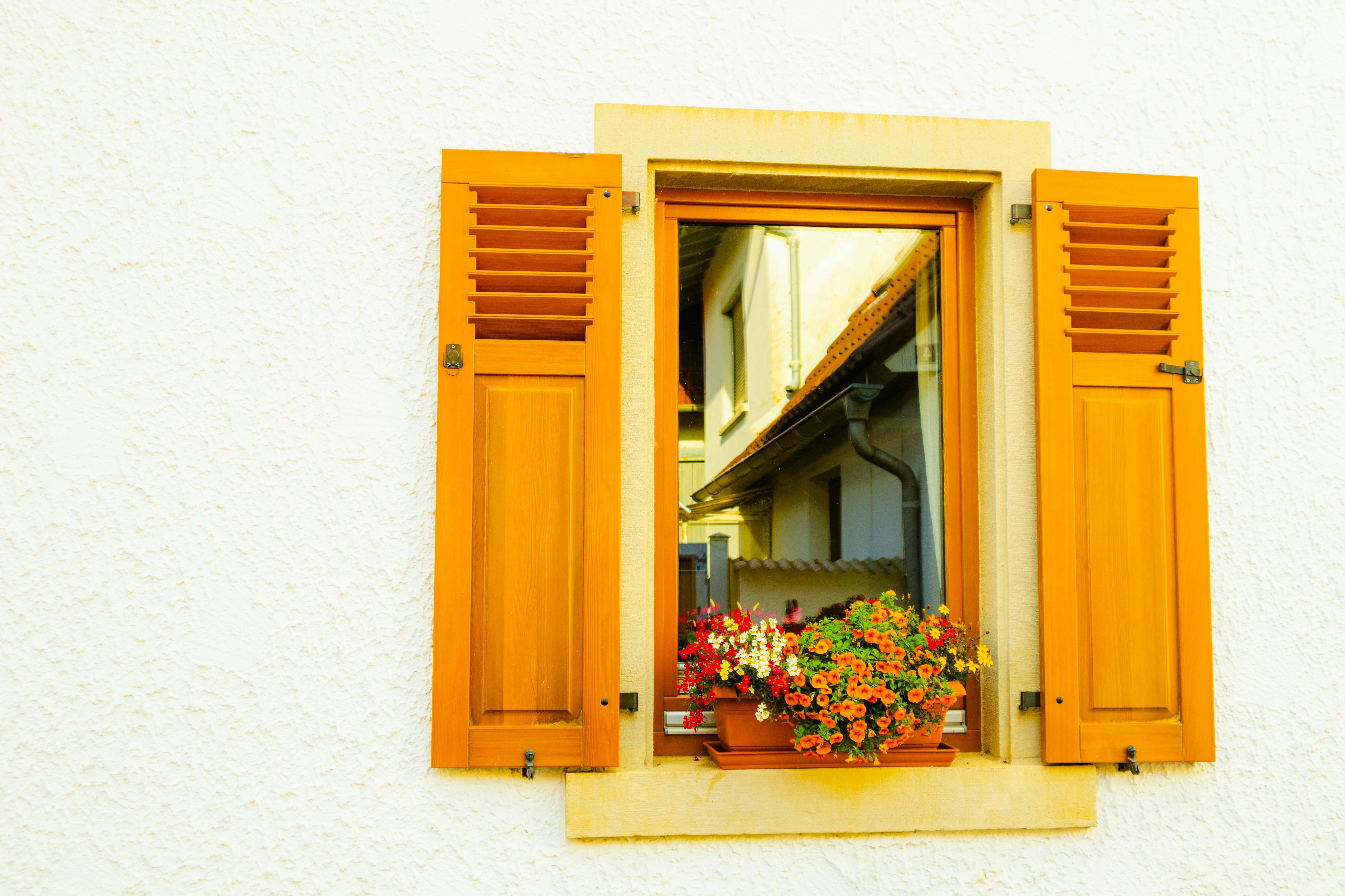 A window with yellow shutters and a potted plant photo – Free Wiesloch ...
