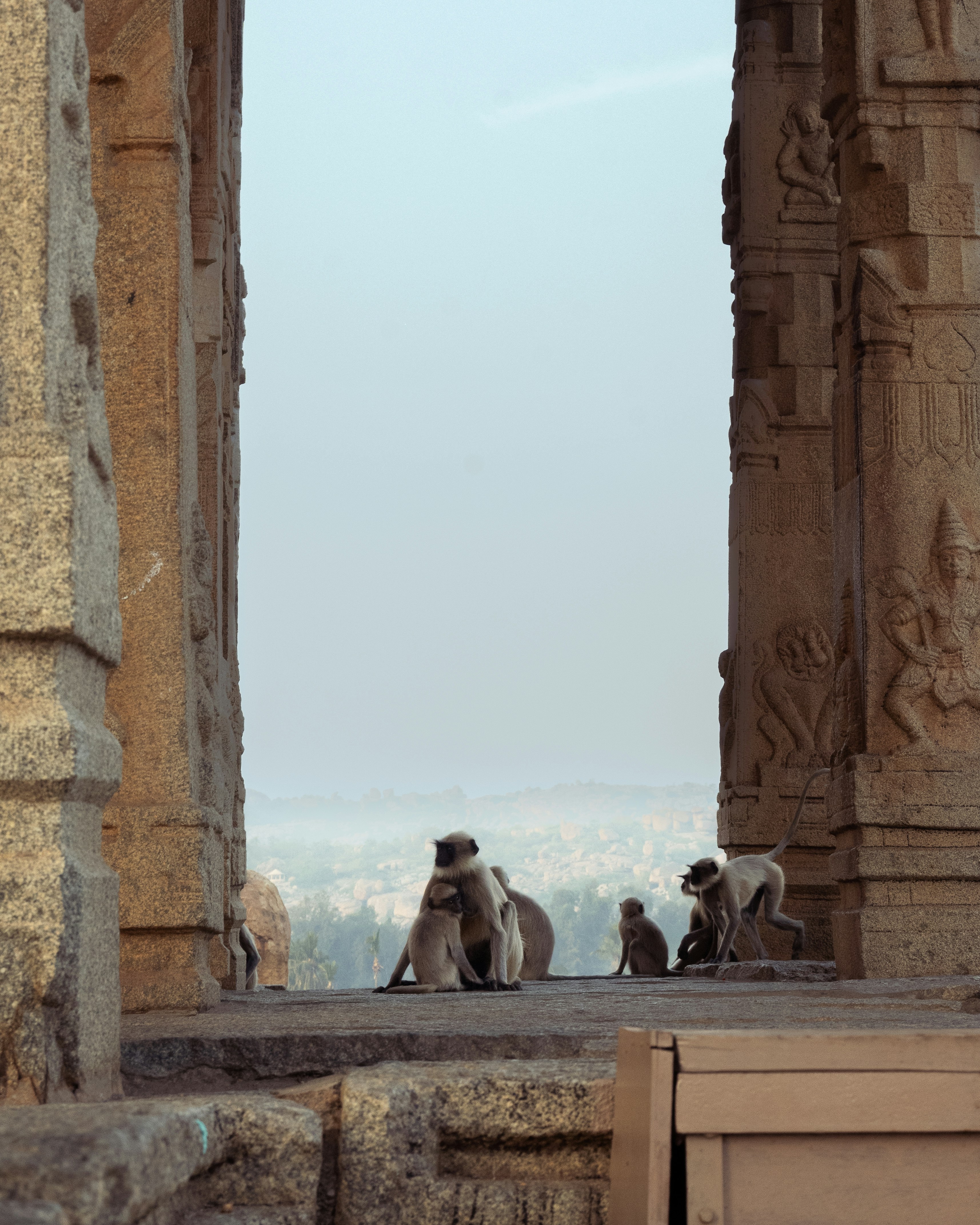 Echoes of Playfulness Amidst Ancient Stone