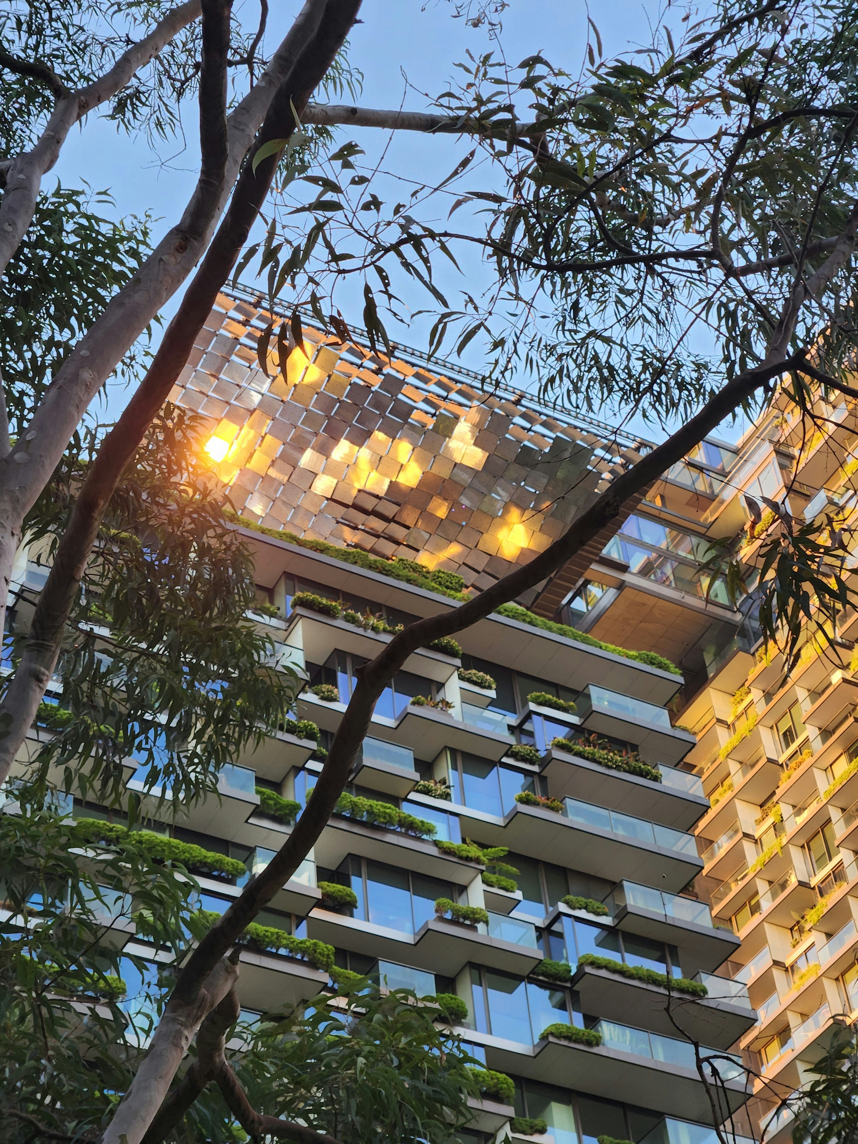 Sunlit, gold-tiled rooftop reflector stands above a terraced apartment block with glass balconies. Branches in the foreground frame the modern urban scene.