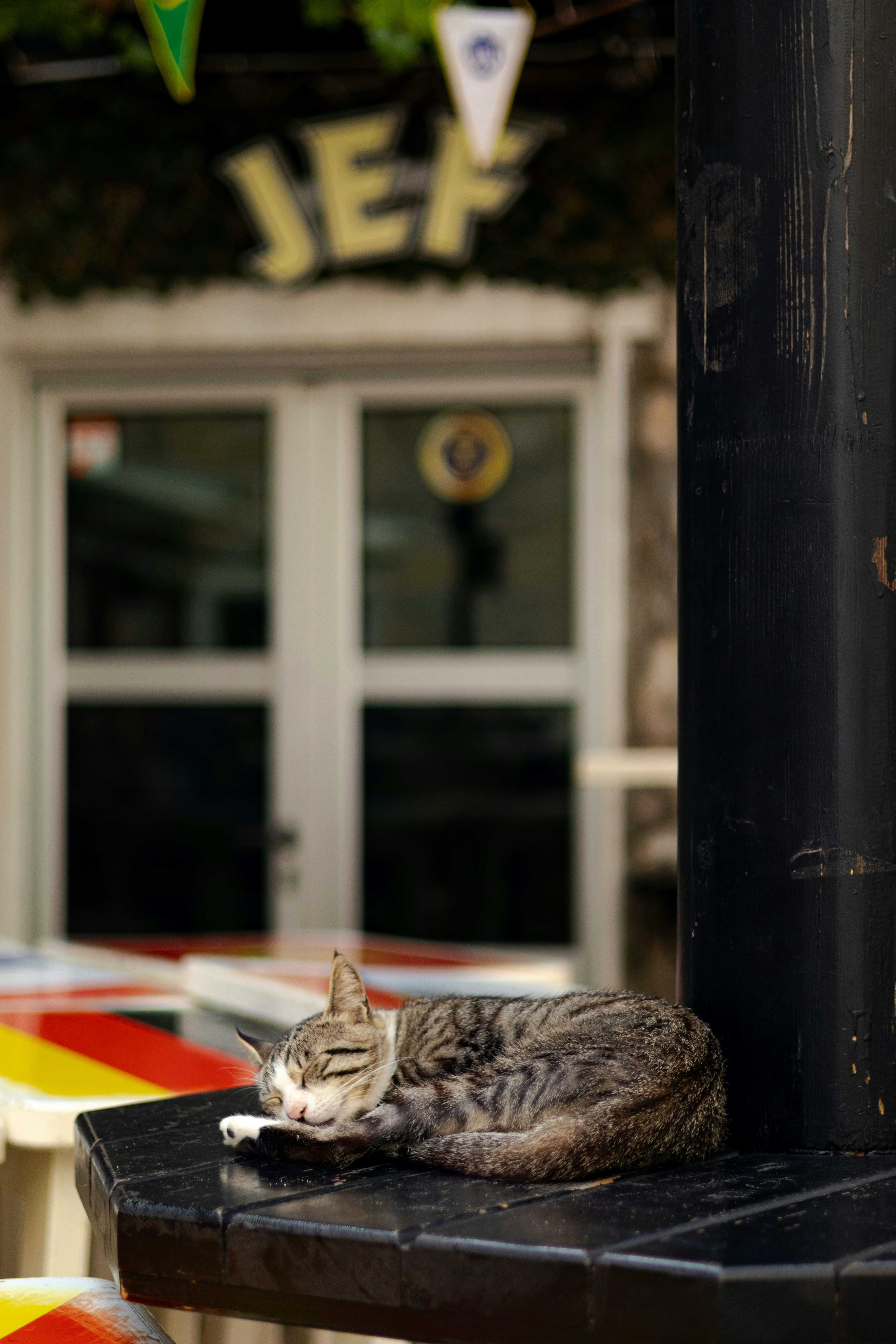 Sunlit Slumber on a Café Counter: A Tabby at Ease
