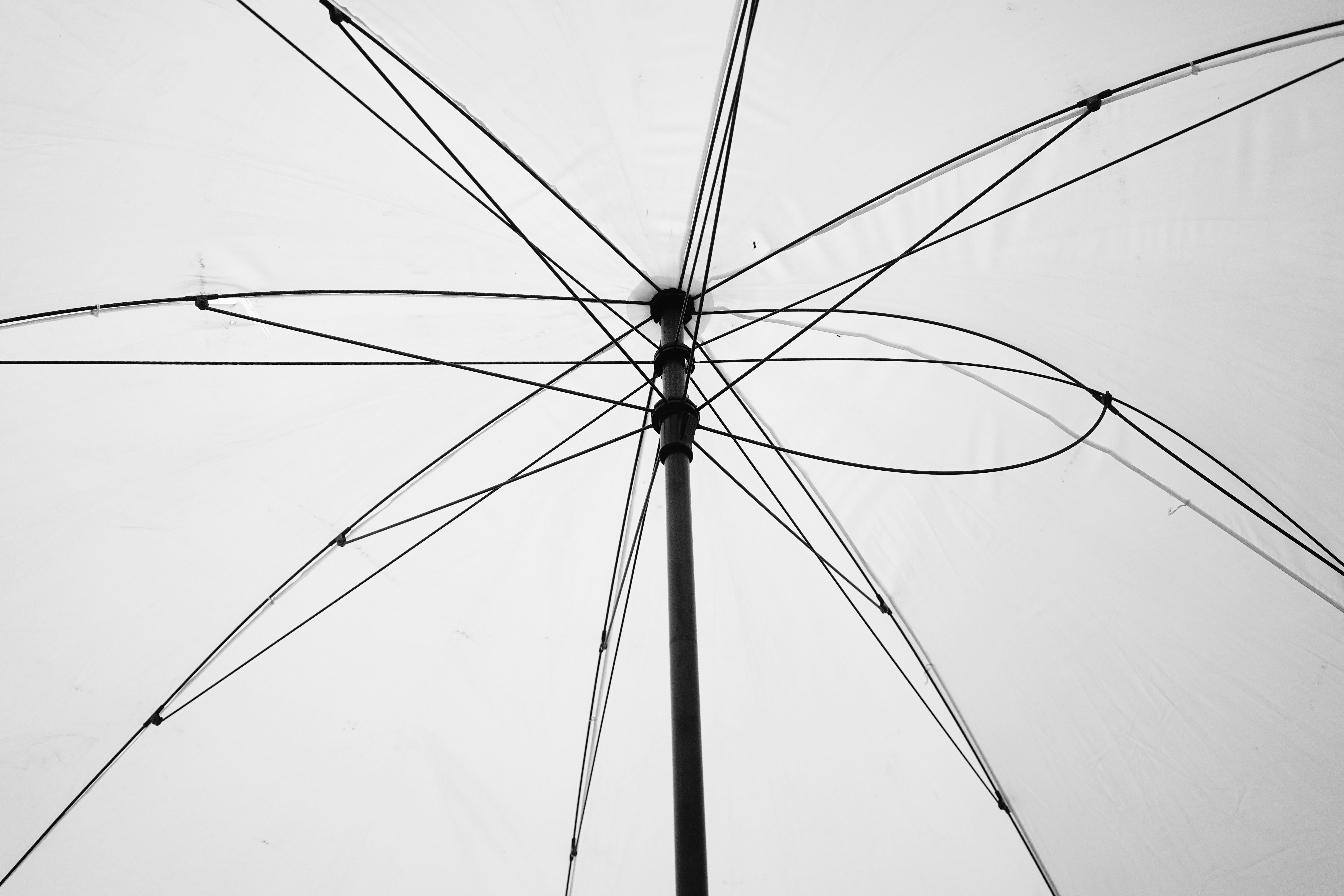 Intricate structure of an umbrella viewed from below, showcasing the symmetry of its ribs and canopy. The monochromatic palette emphasizes the geometric lines.