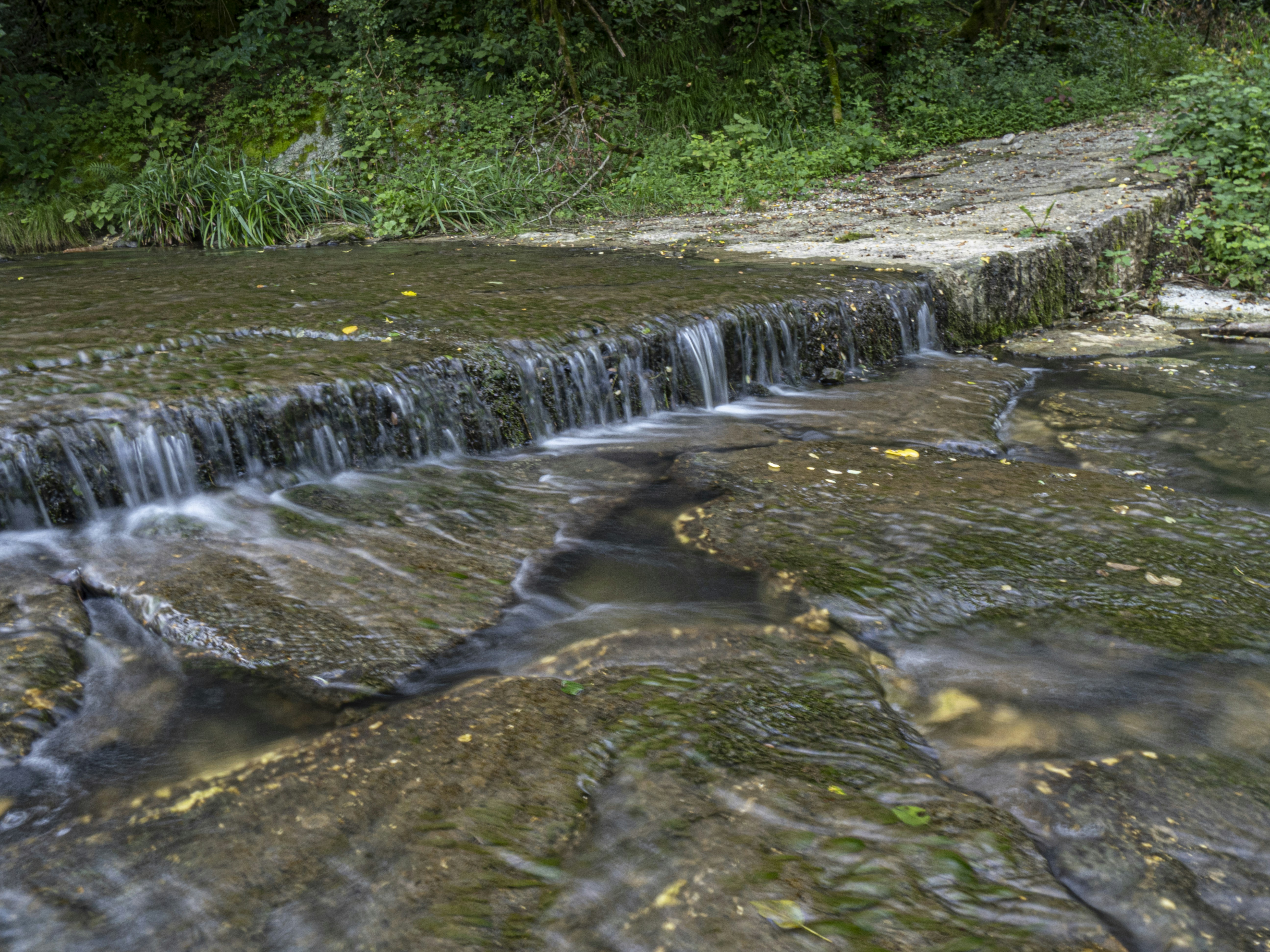 Photo by Diego Romeo with OM System OM-1