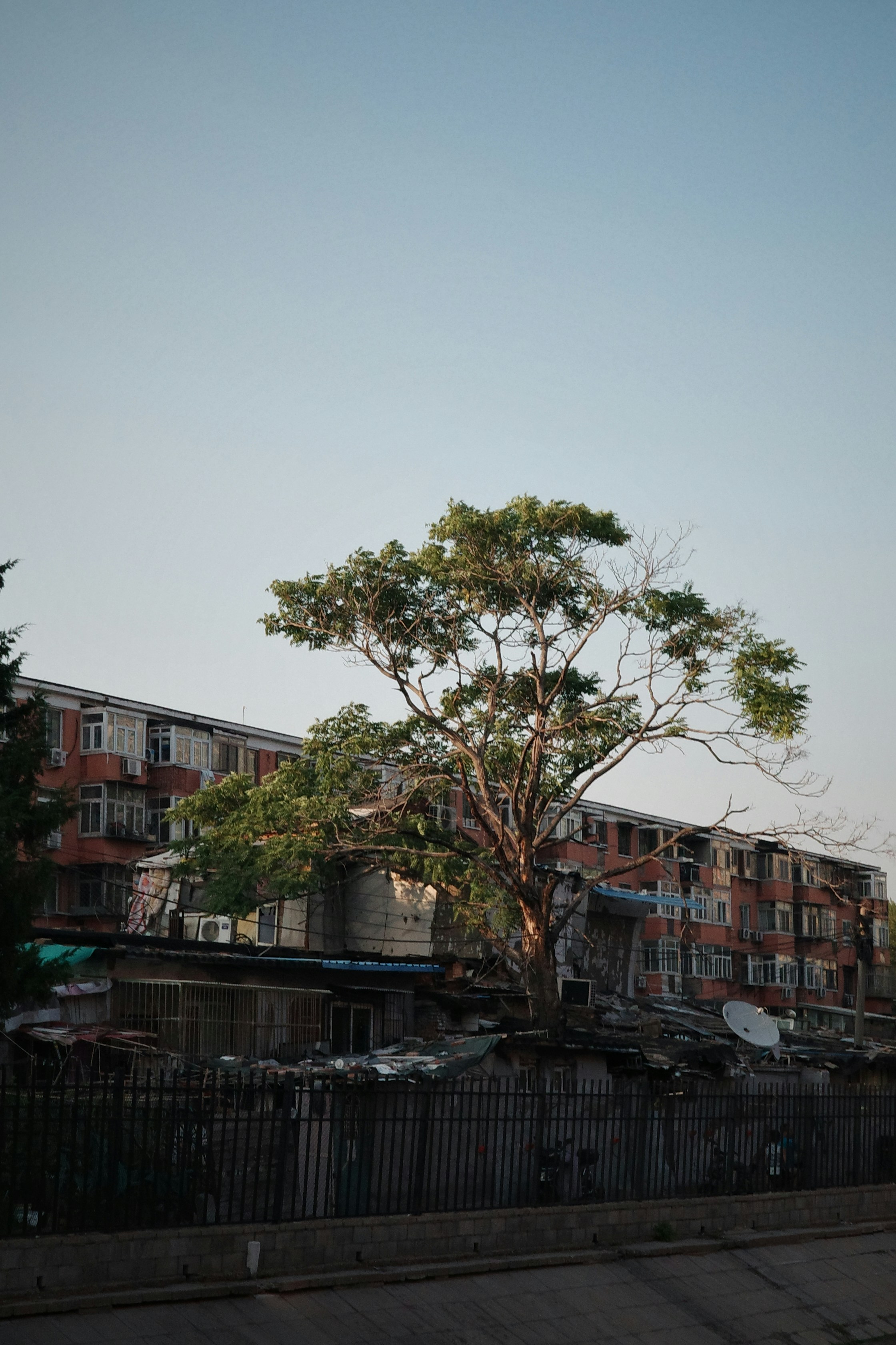 Photo by Hugo Xie with Ricoh GR IIIx