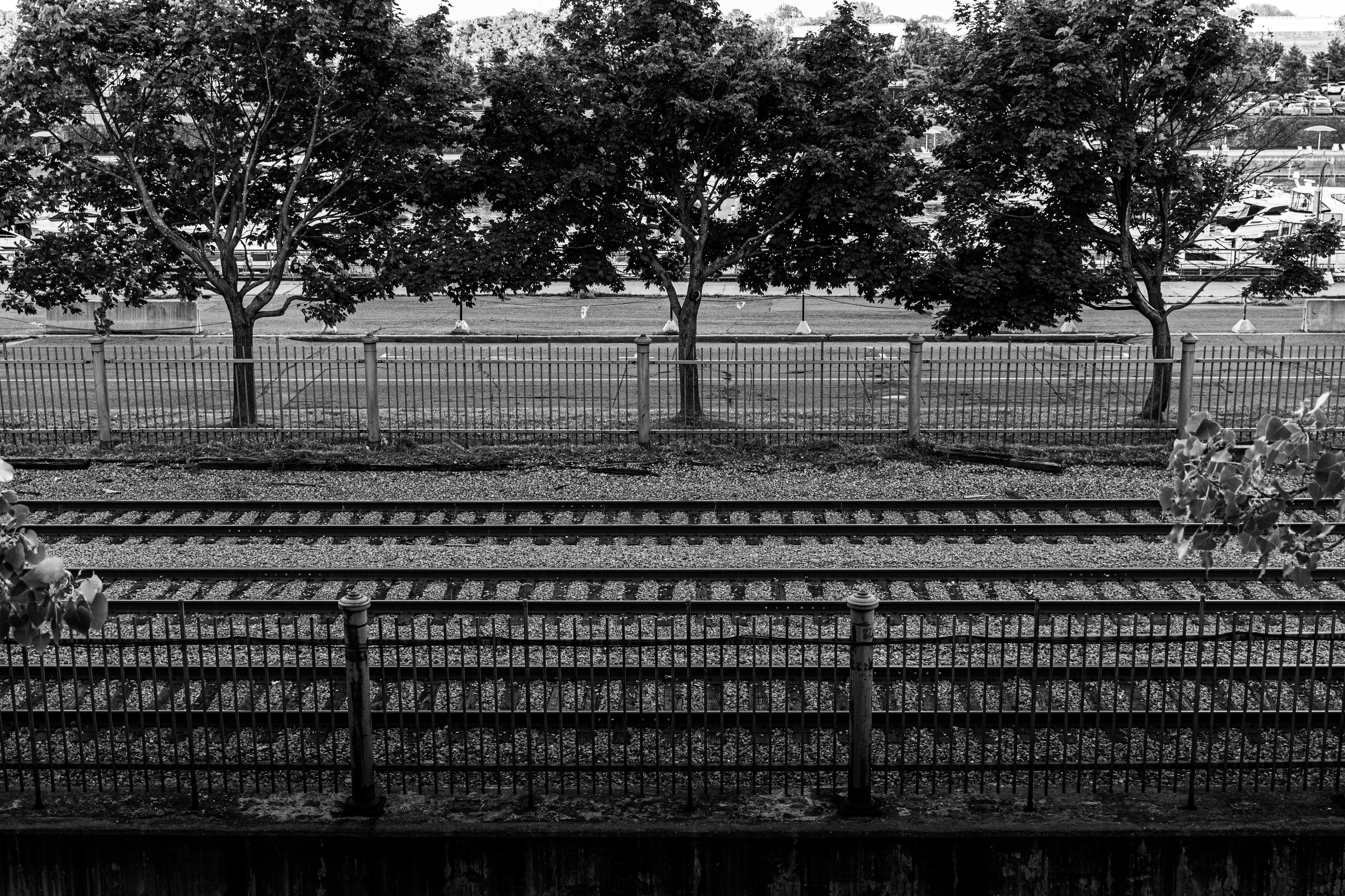 Tracks, Trees, and Fenced Horizon