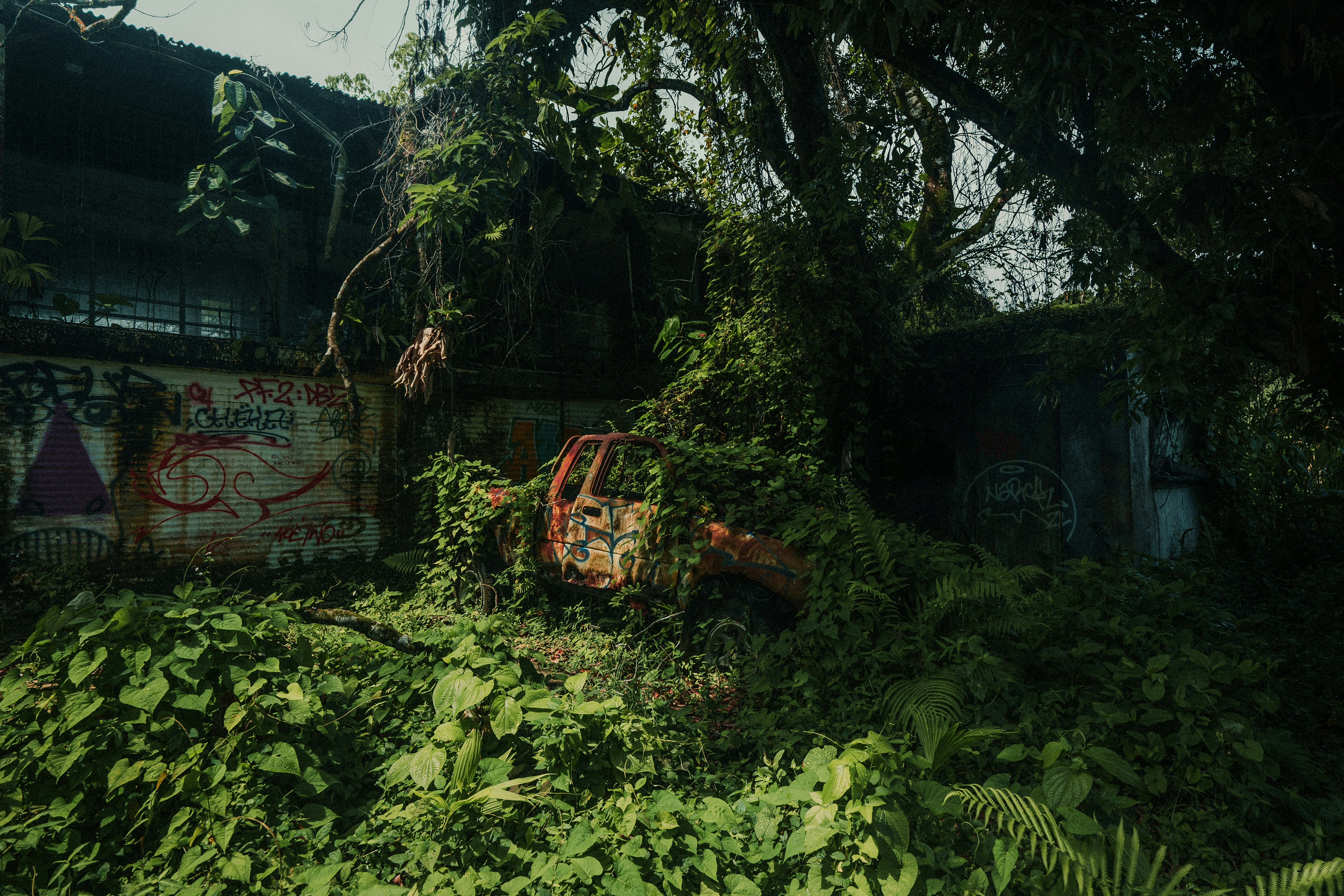 Apocalypse Pictures | Download Free Images on Unsplash