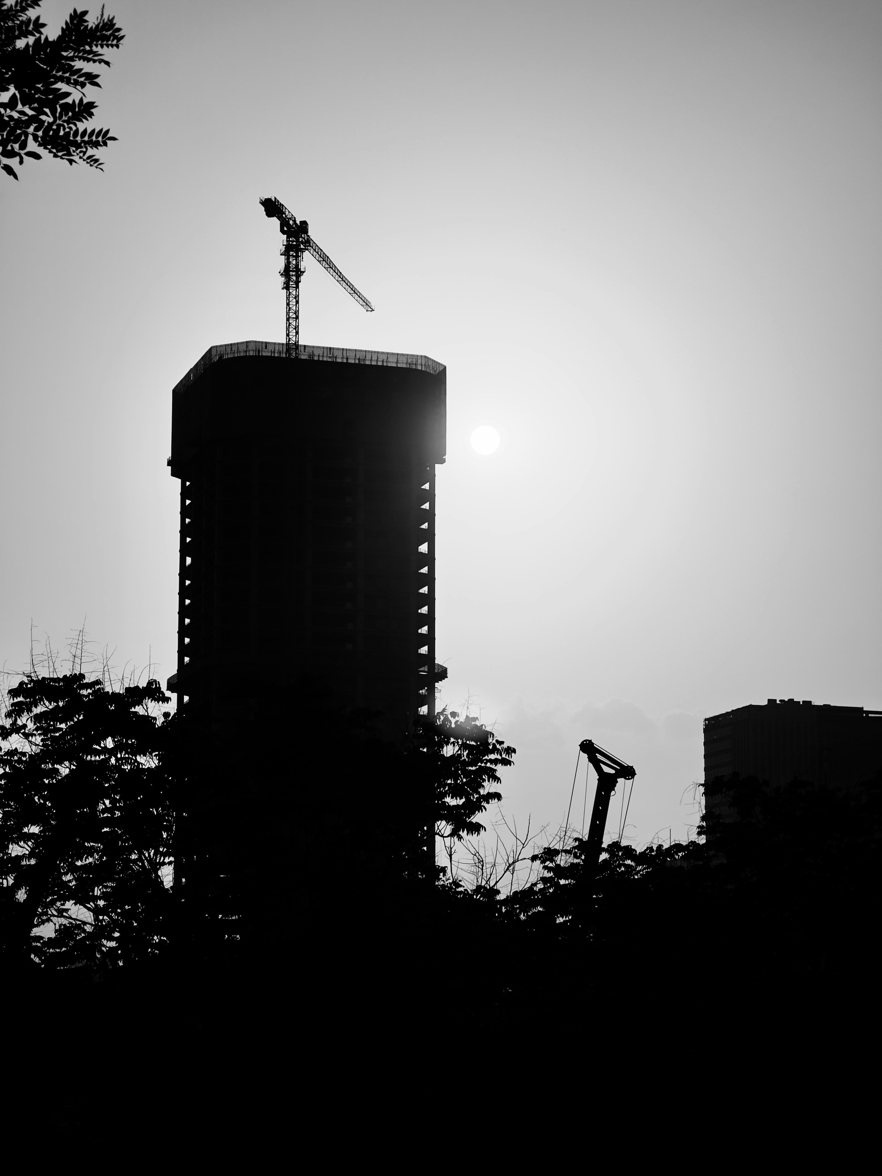 Crane Crown Over a Quiet Tower: A Monochrome Construction Silhouette at Dusk