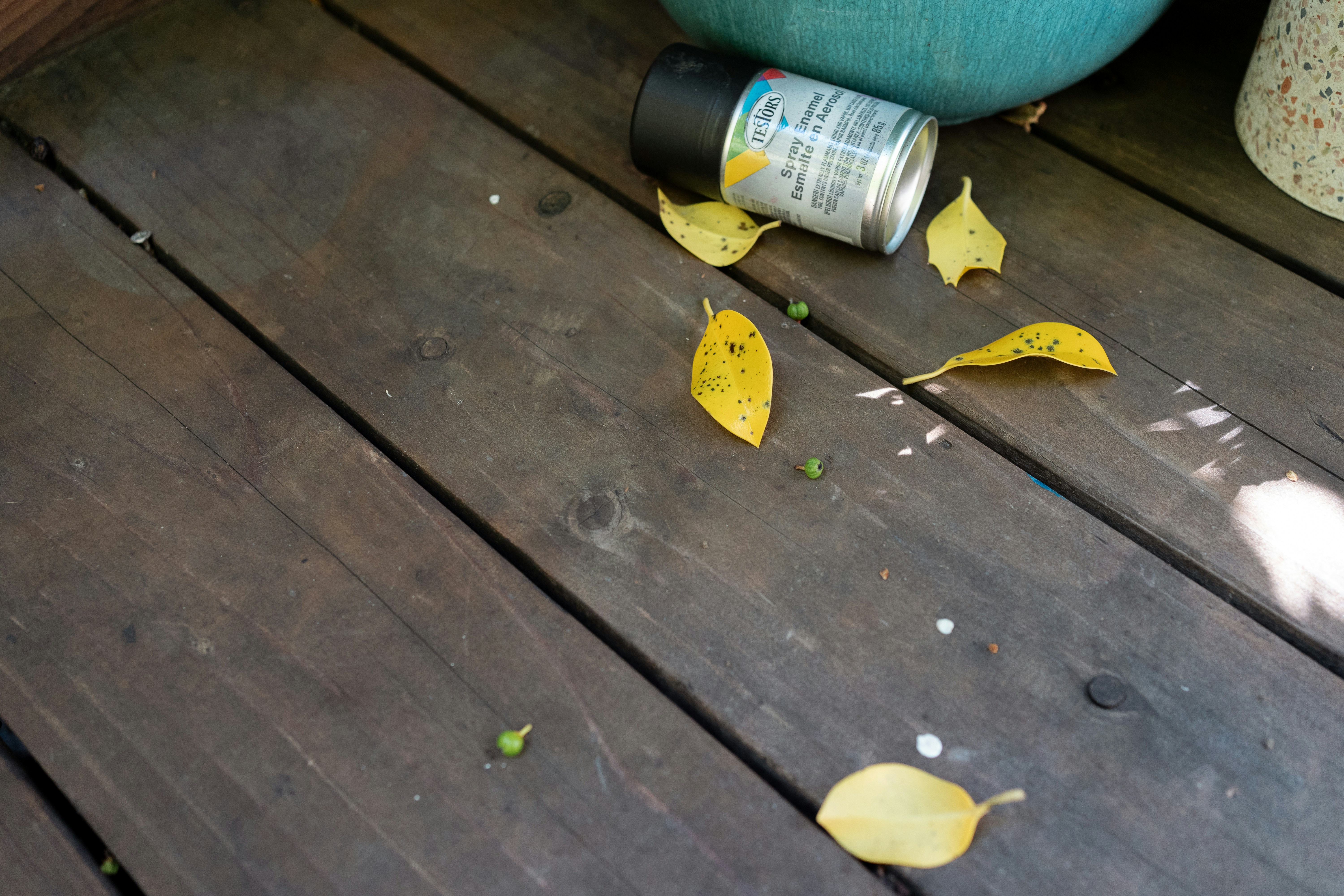 Photo by Fabio Sasso with Sony Alpha 7 III