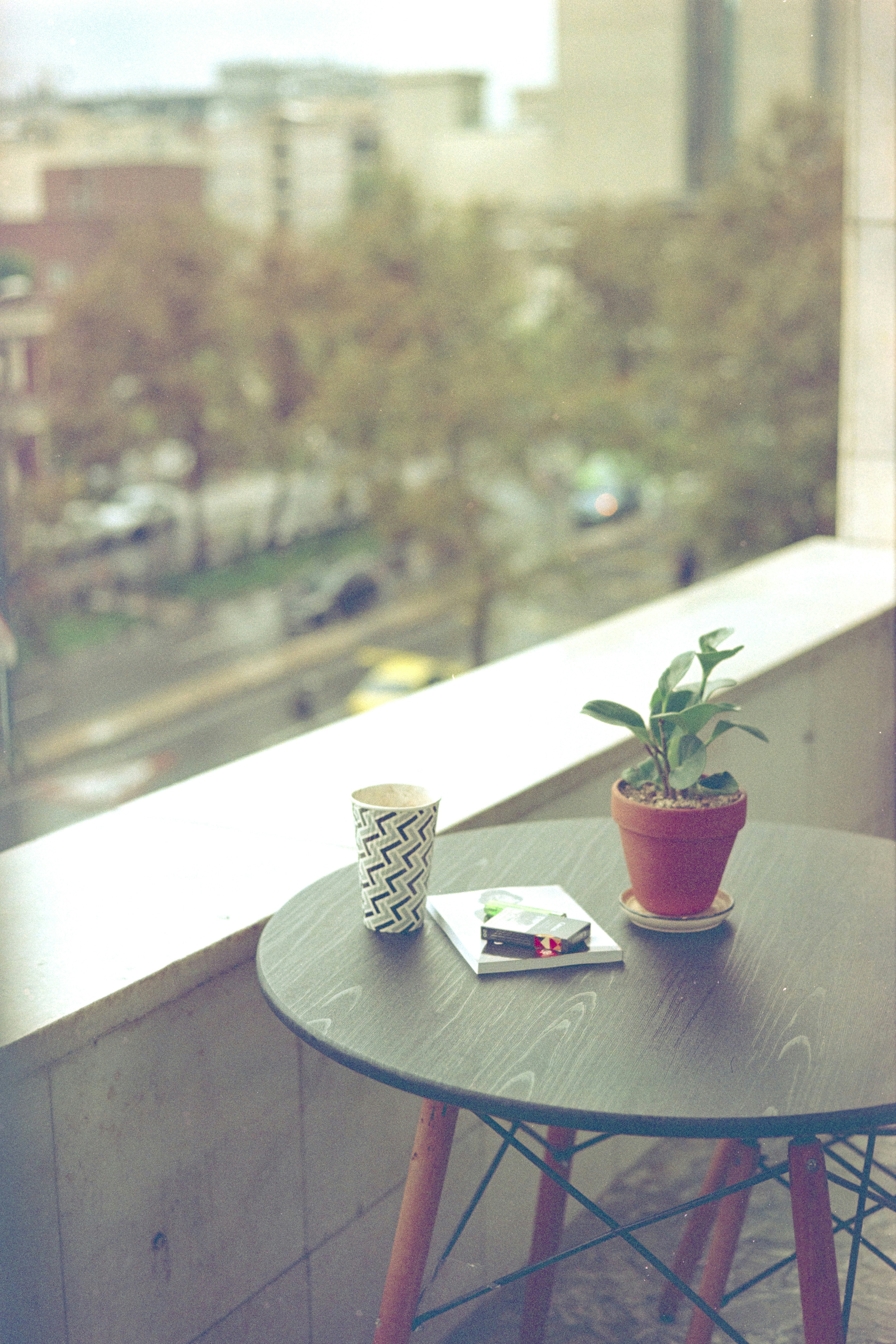 A table with a potted plant on top of it