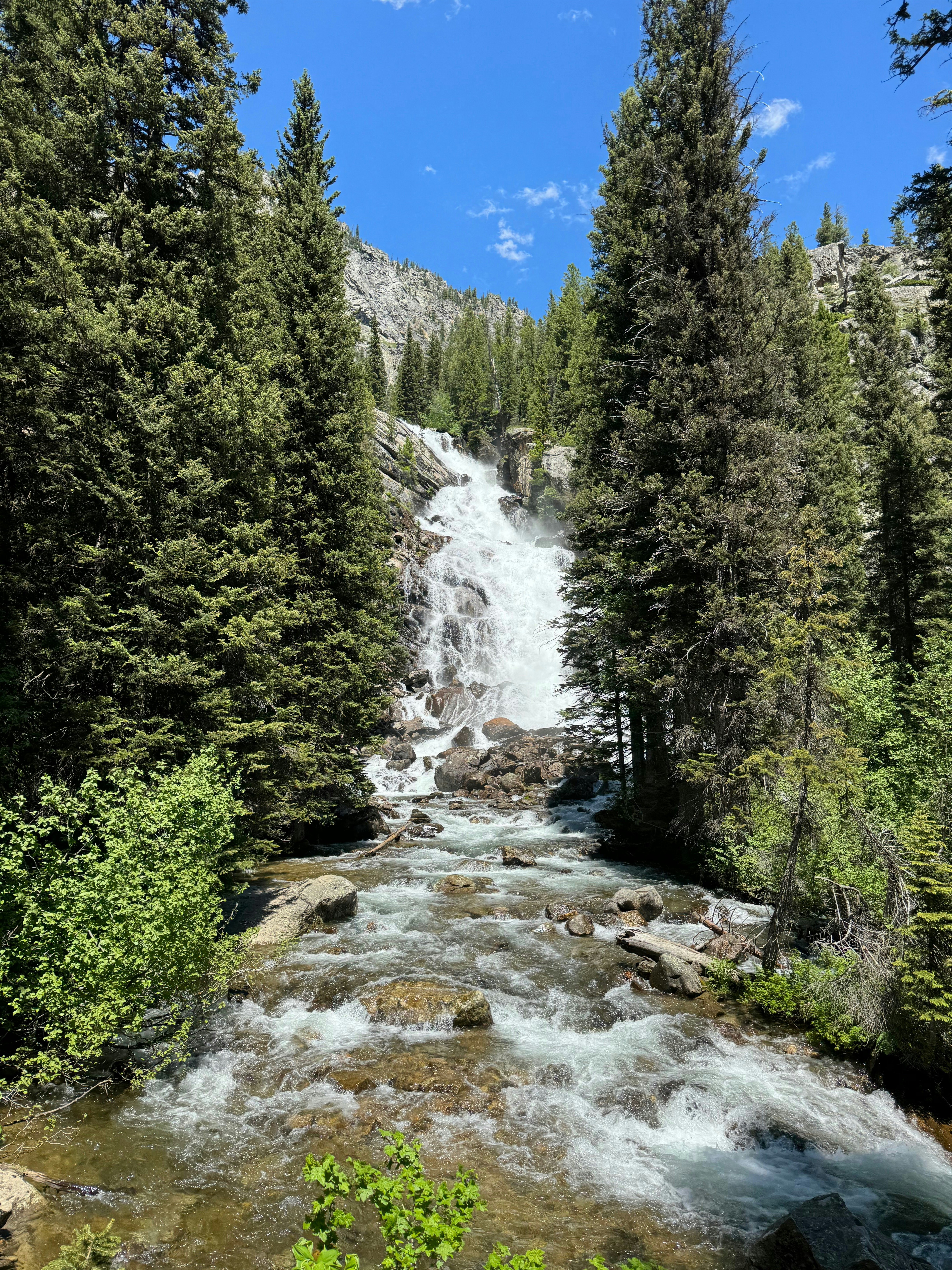 Nature's Cascade: A Symphony of Water and Greenery
