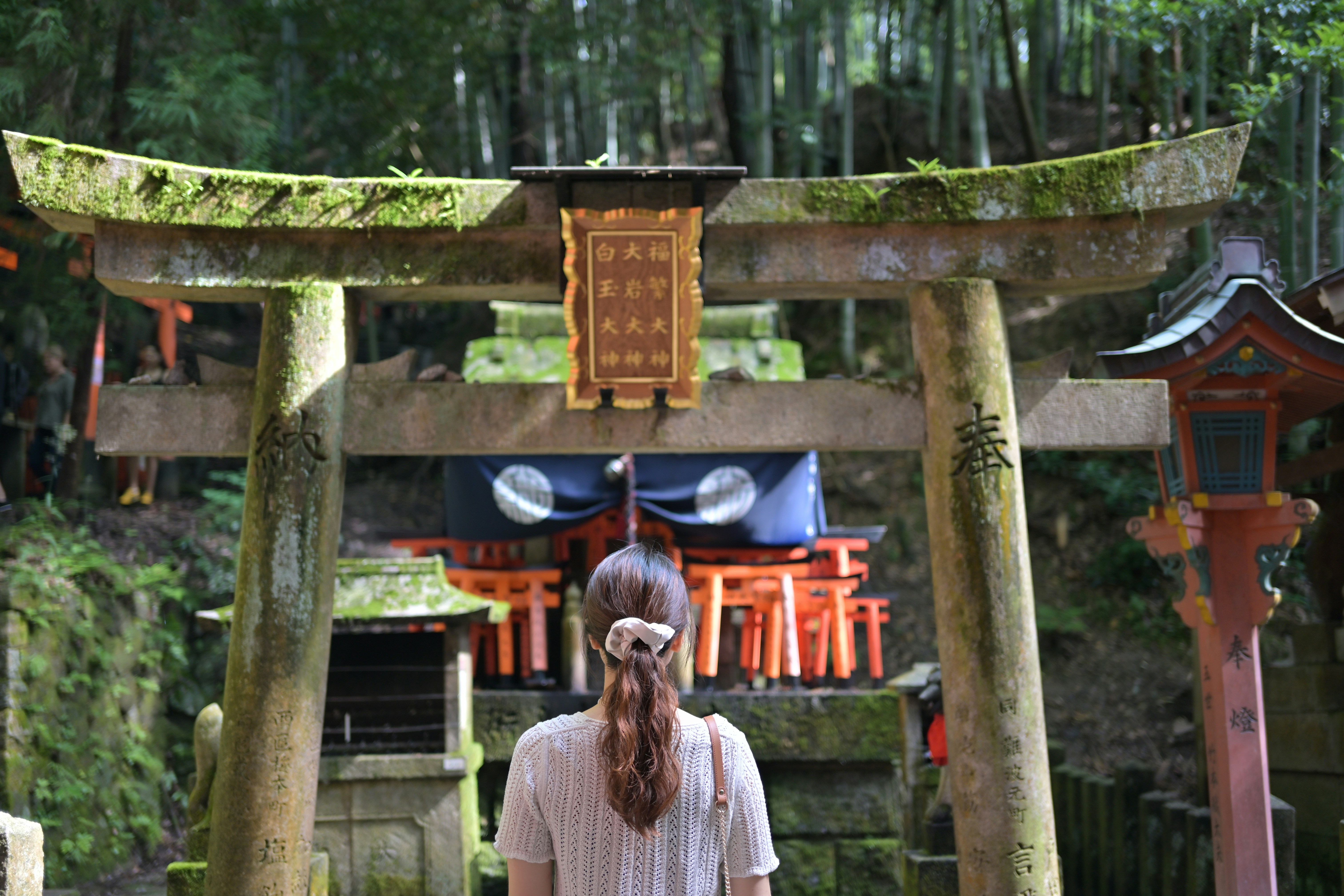 Shimokitazawa Magic: A World of Wonder