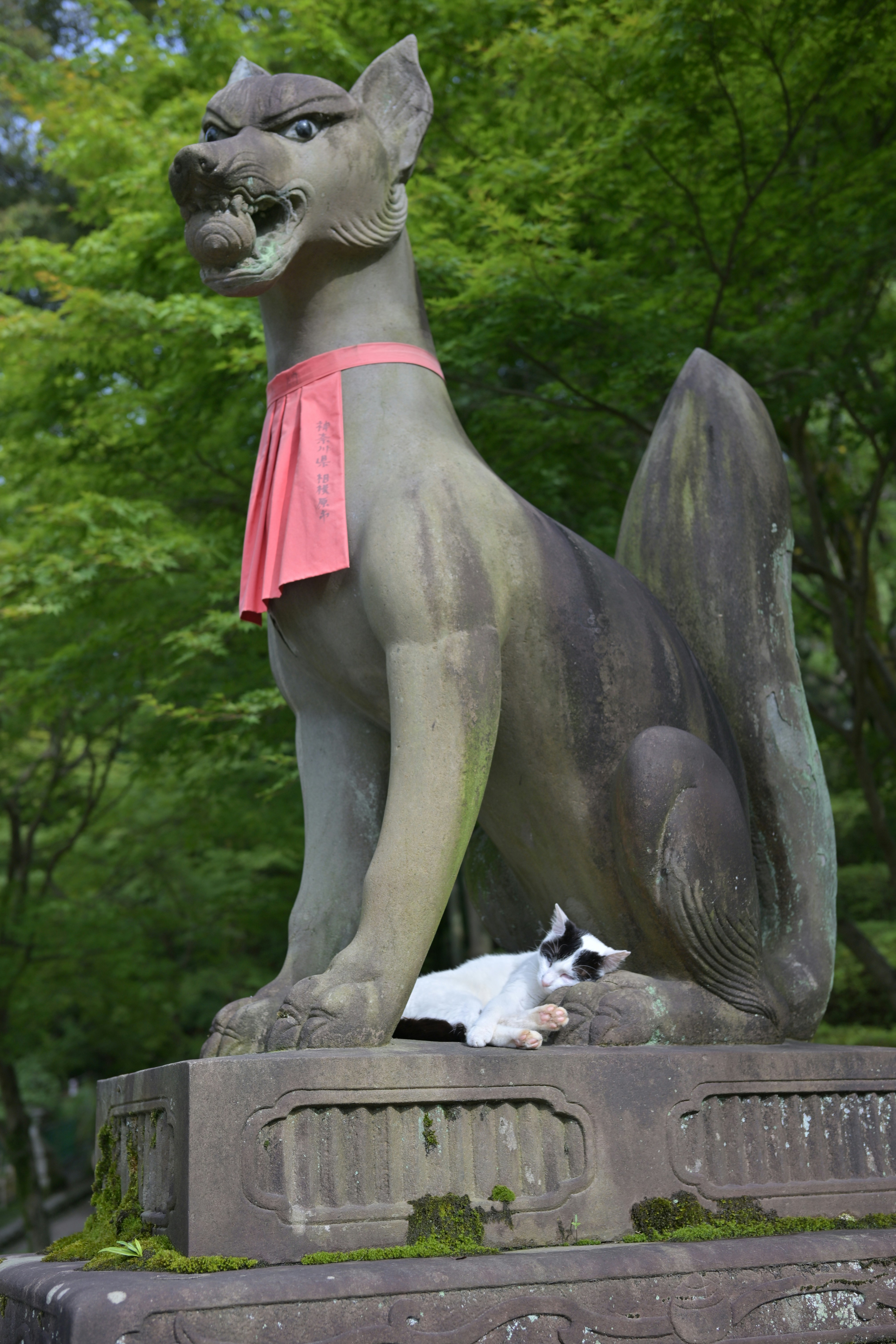 A statue of a dog and a cat in a park photo – Free Fushimi inari taisha ...